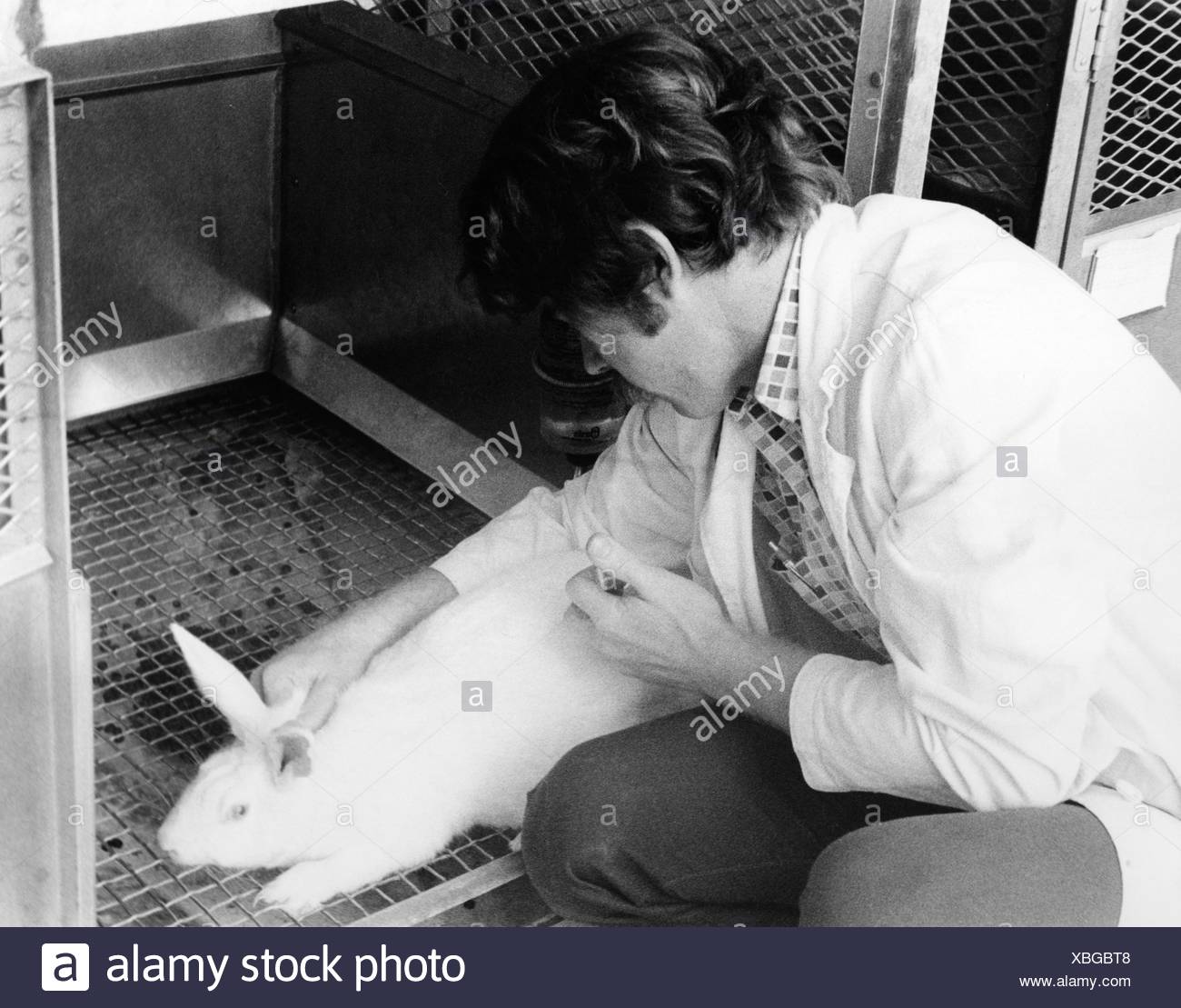 Animal Testing Rabbit High Resolution Stock Photography and Images - Alamy
