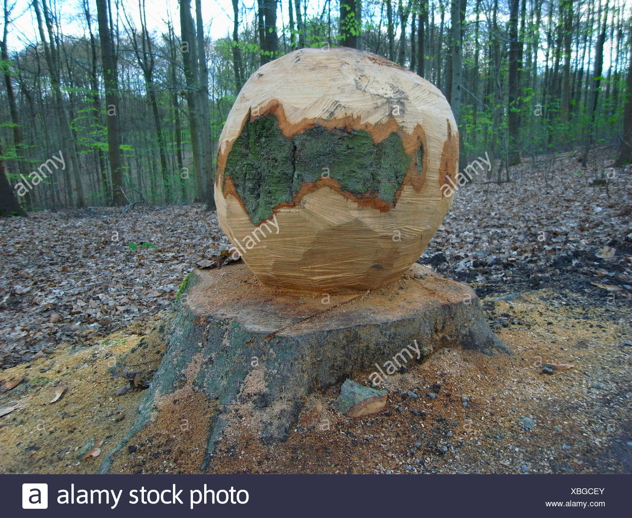 Ecosystem Ball Stock Photos & Ecosystem Ball Stock Images - Alamy