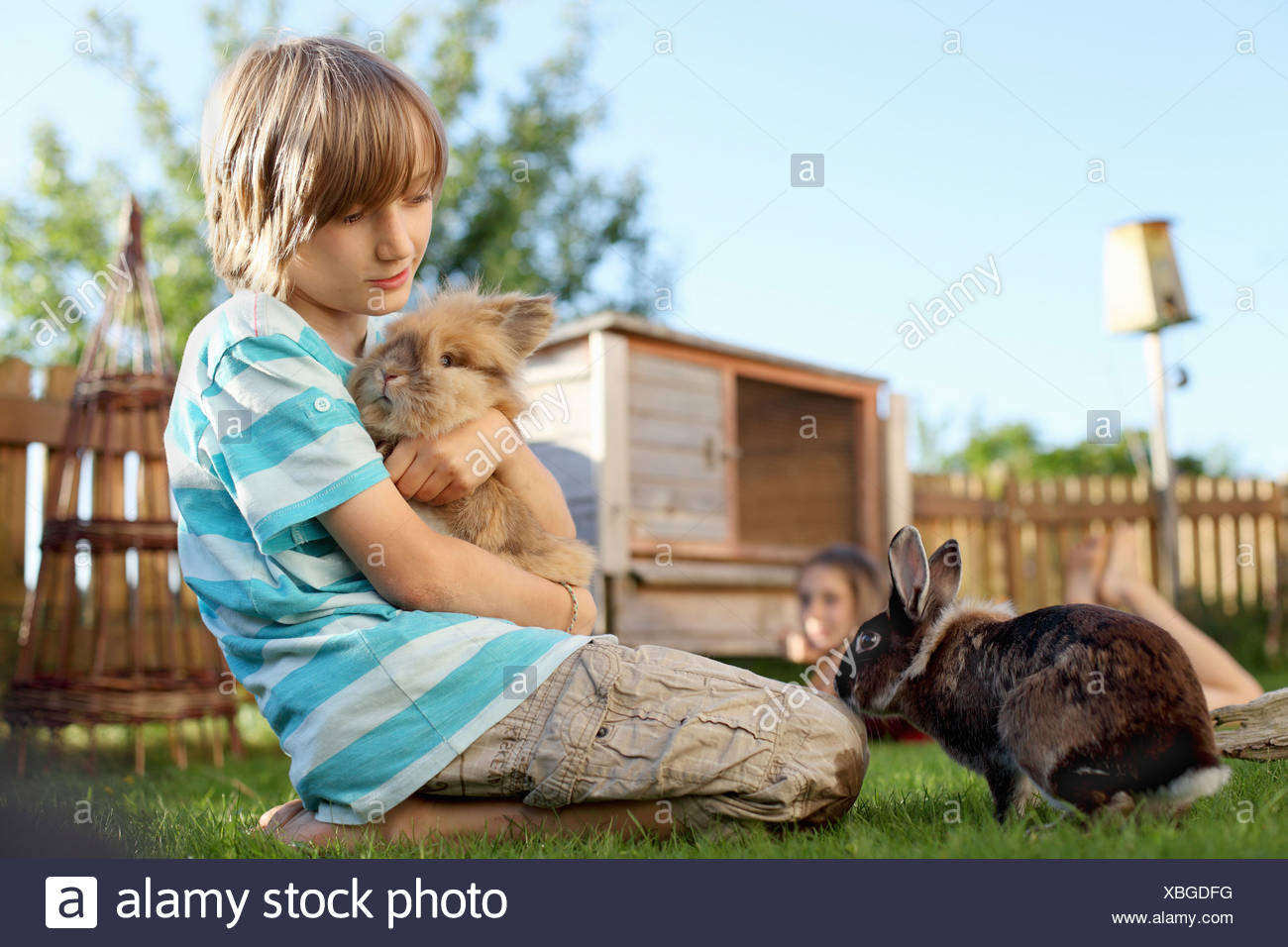 Boy Rabbit High Resolution Stock Photography and Images - Alamy