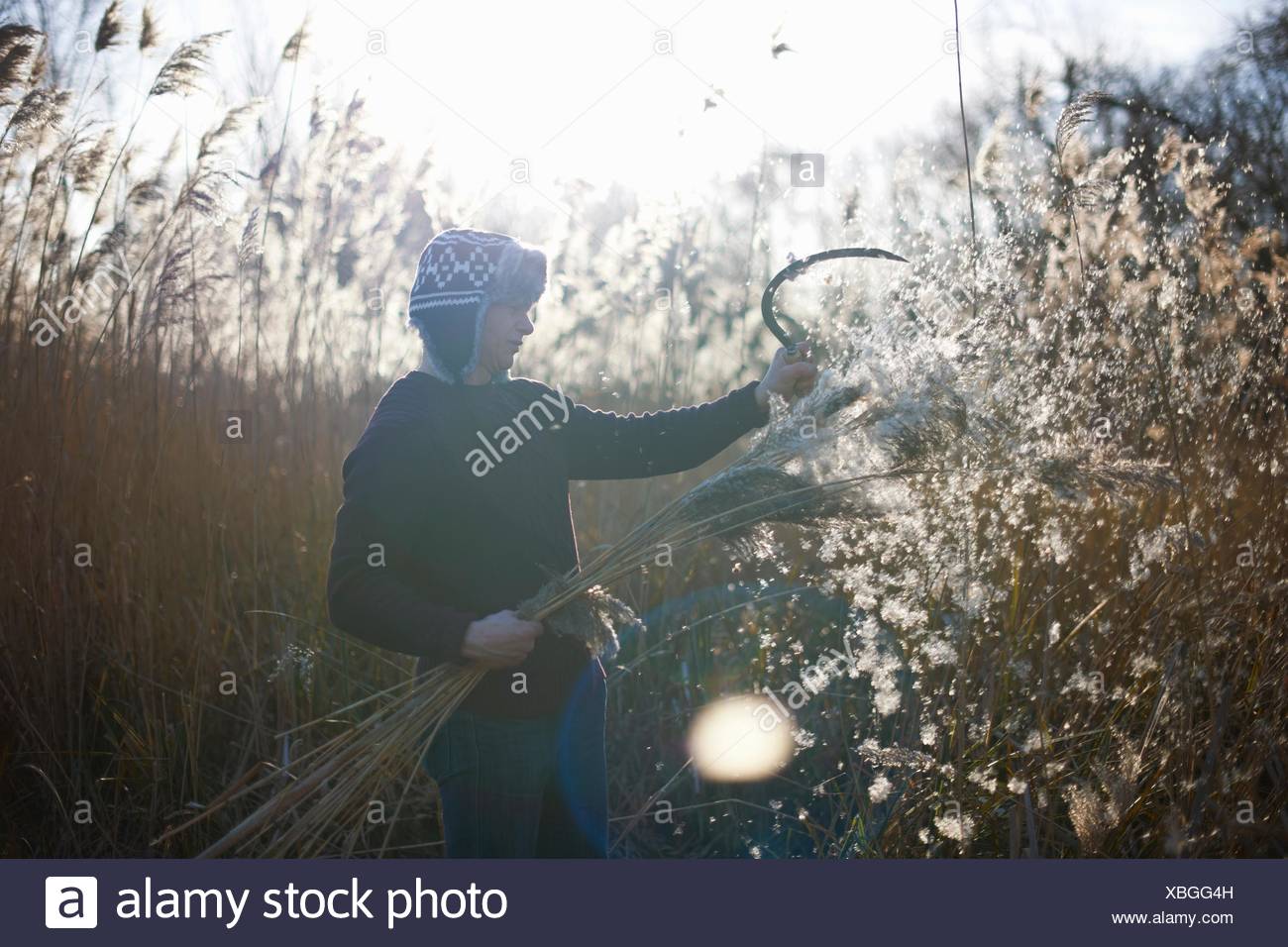 Man Using Scythe High Resolution Stock Photography and Images - Alamy