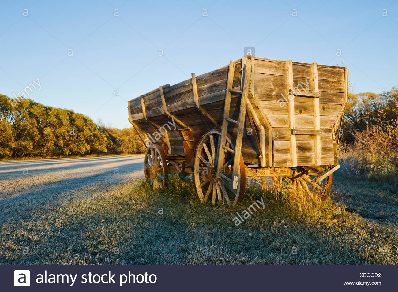 Wagon Tree High Resolution Stock Photography and Images - Alamy