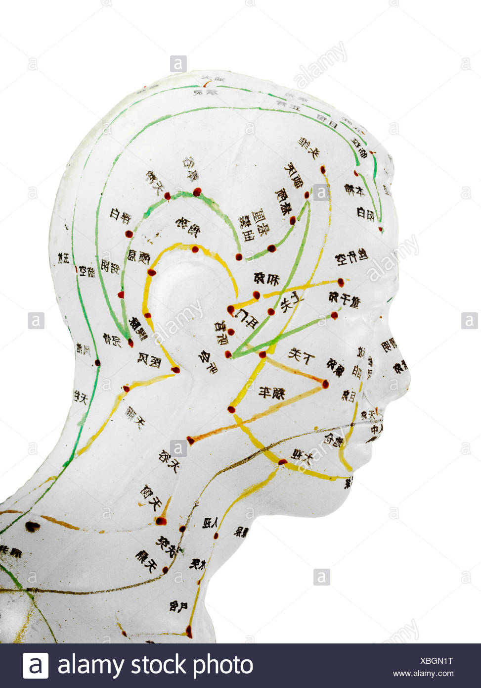 Meridians And Meridians High Resolution Stock Photography and Images - Alamy
