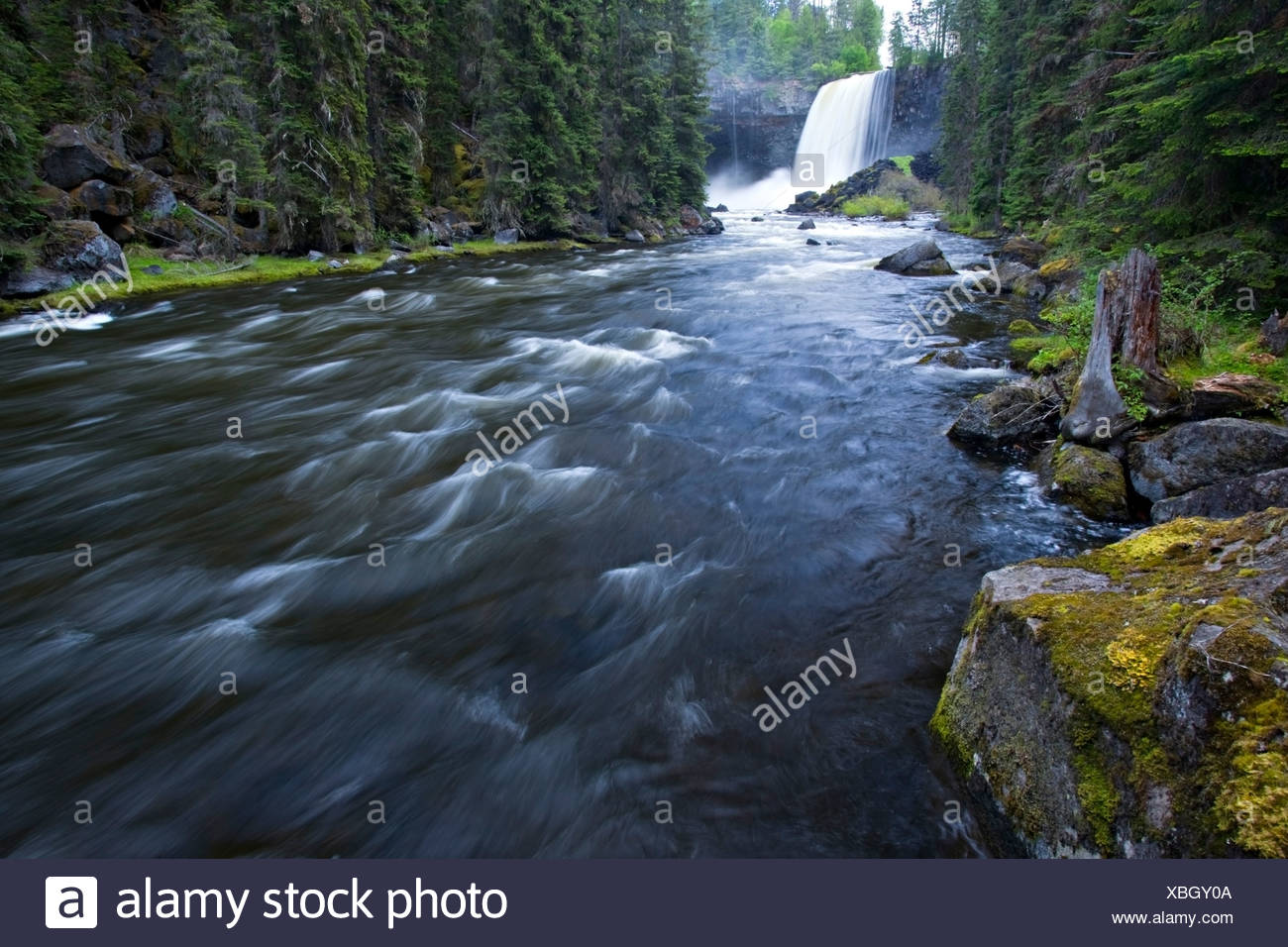 Canim High Resolution Stock Photography and Images - Alamy