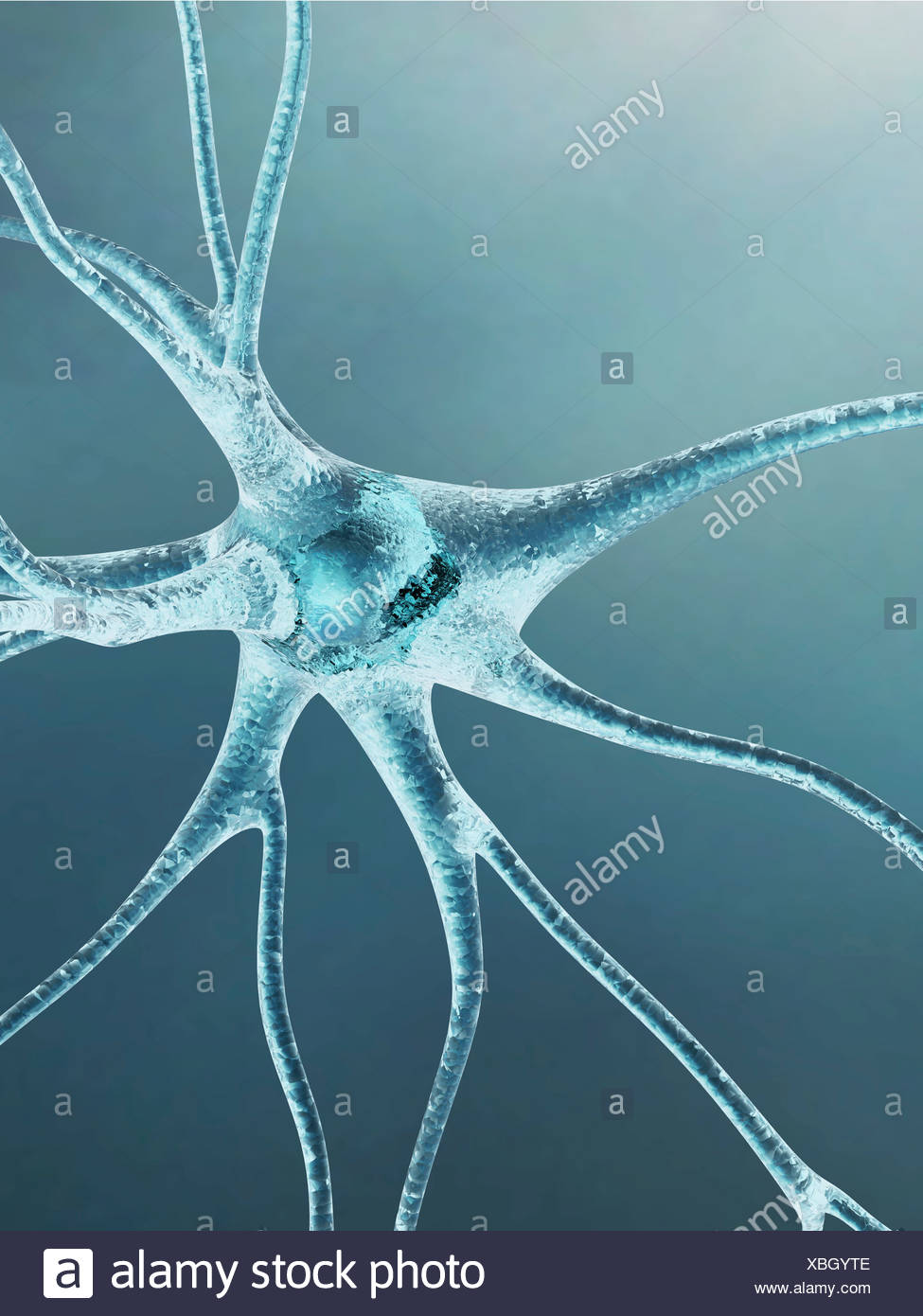 Nerve Cell Artwork Science High Resolution Stock Photography and Images ...