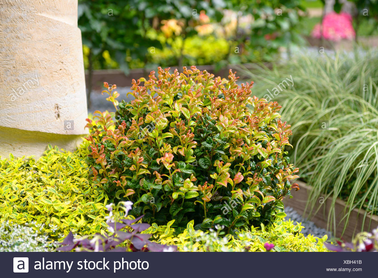 Grave Of Hardy High Resolution Stock Photography and Images - Alamy