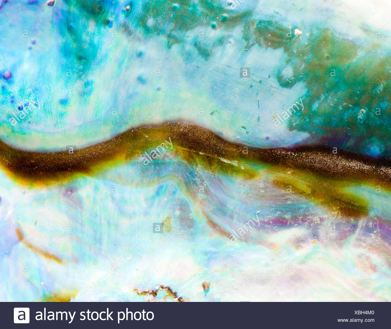 Abalone Pattern High Resolution Stock Photography and Images - Alamy