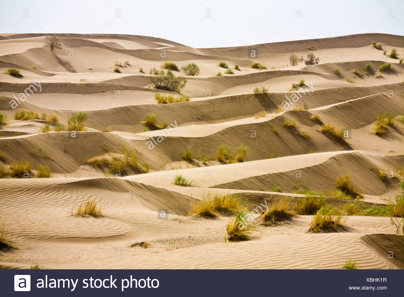 Karakum Desert Stock Photos & Karakum Desert Stock Images - Alamy