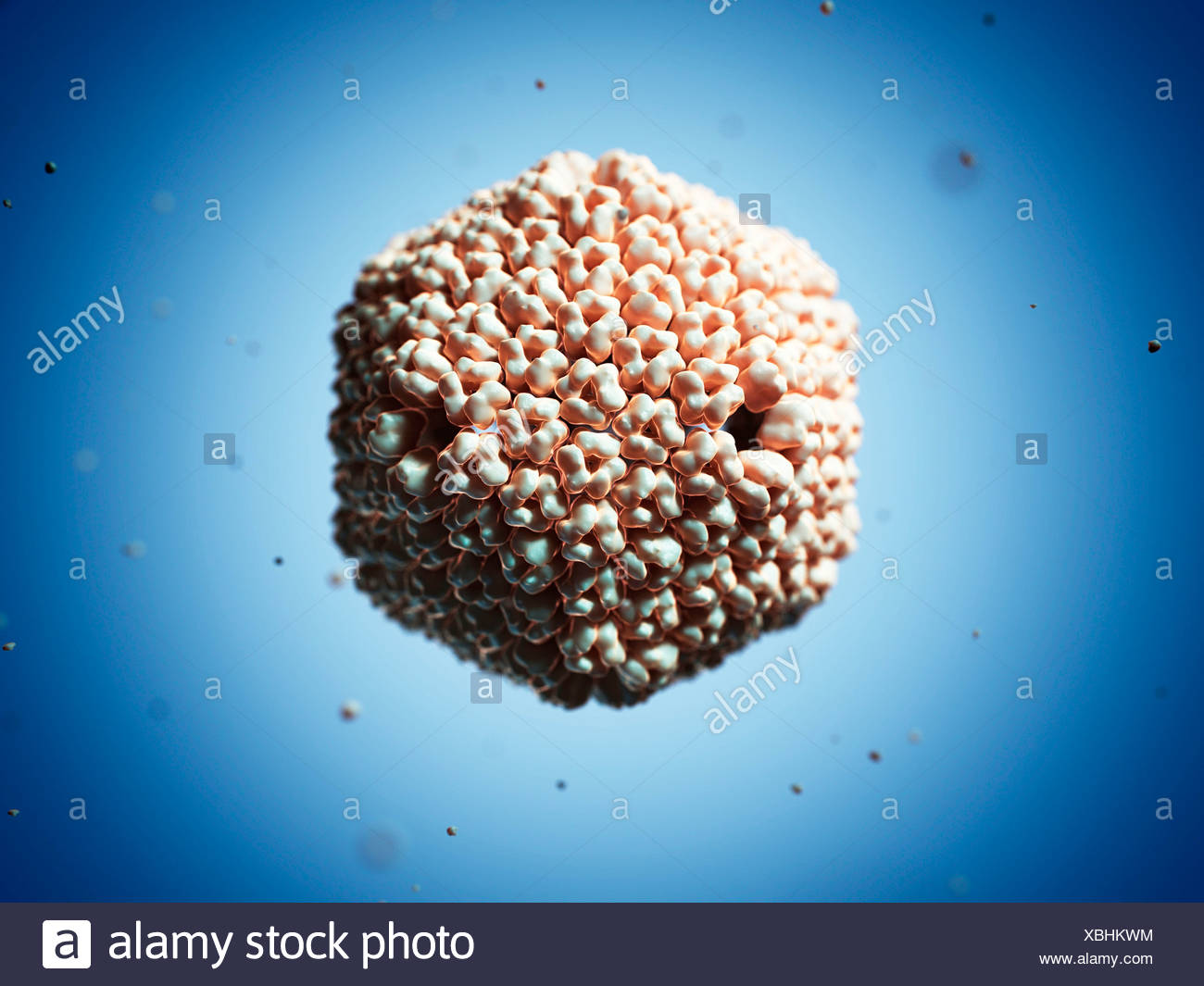 Sputnik Virophage Particle Stock Photos & Sputnik Virophage Particle ...