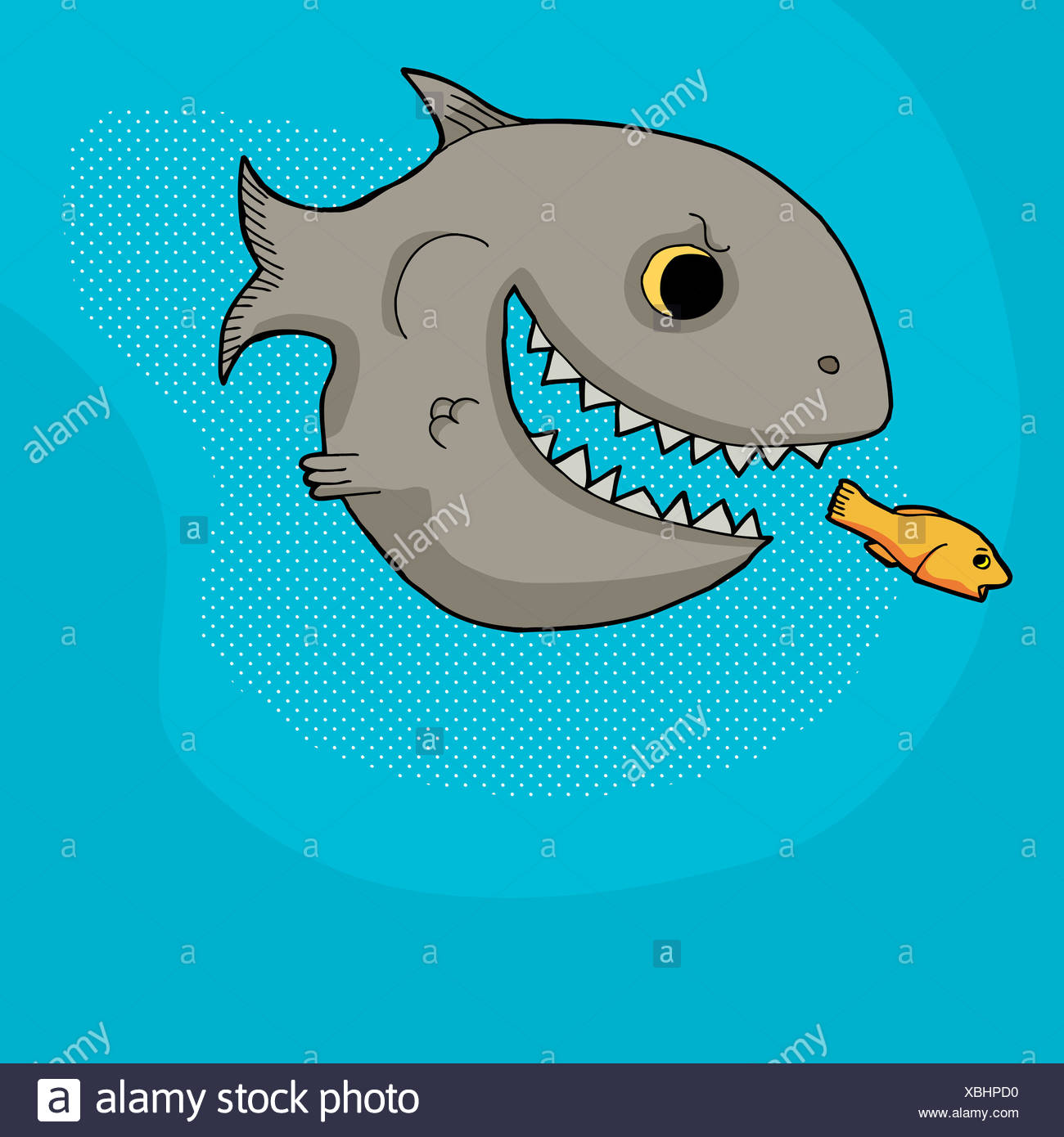 Grinning Fish High Resolution Stock Photography and Images - Alamy