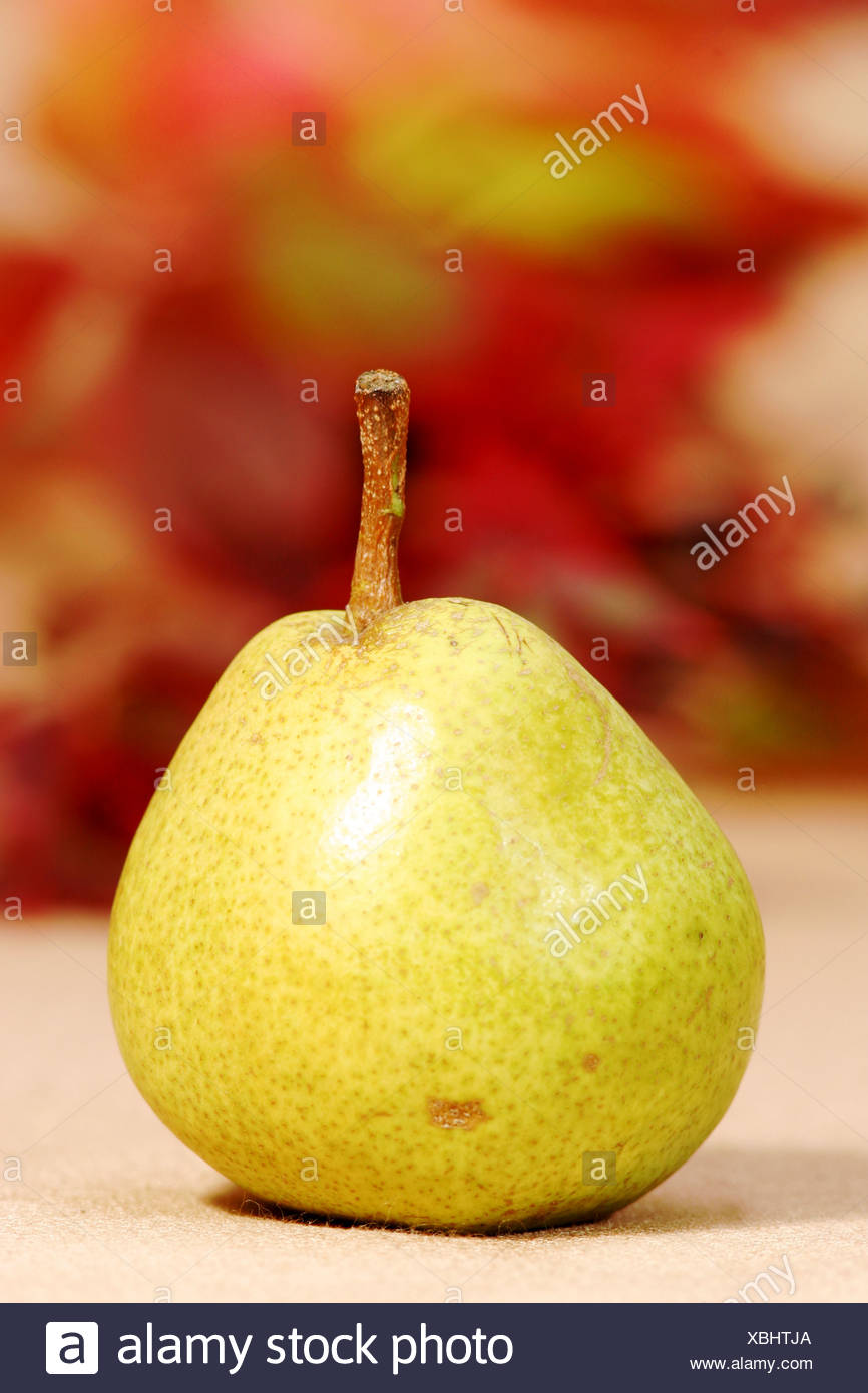 Birnensorte High Resolution Stock Photography and Images - Alamy