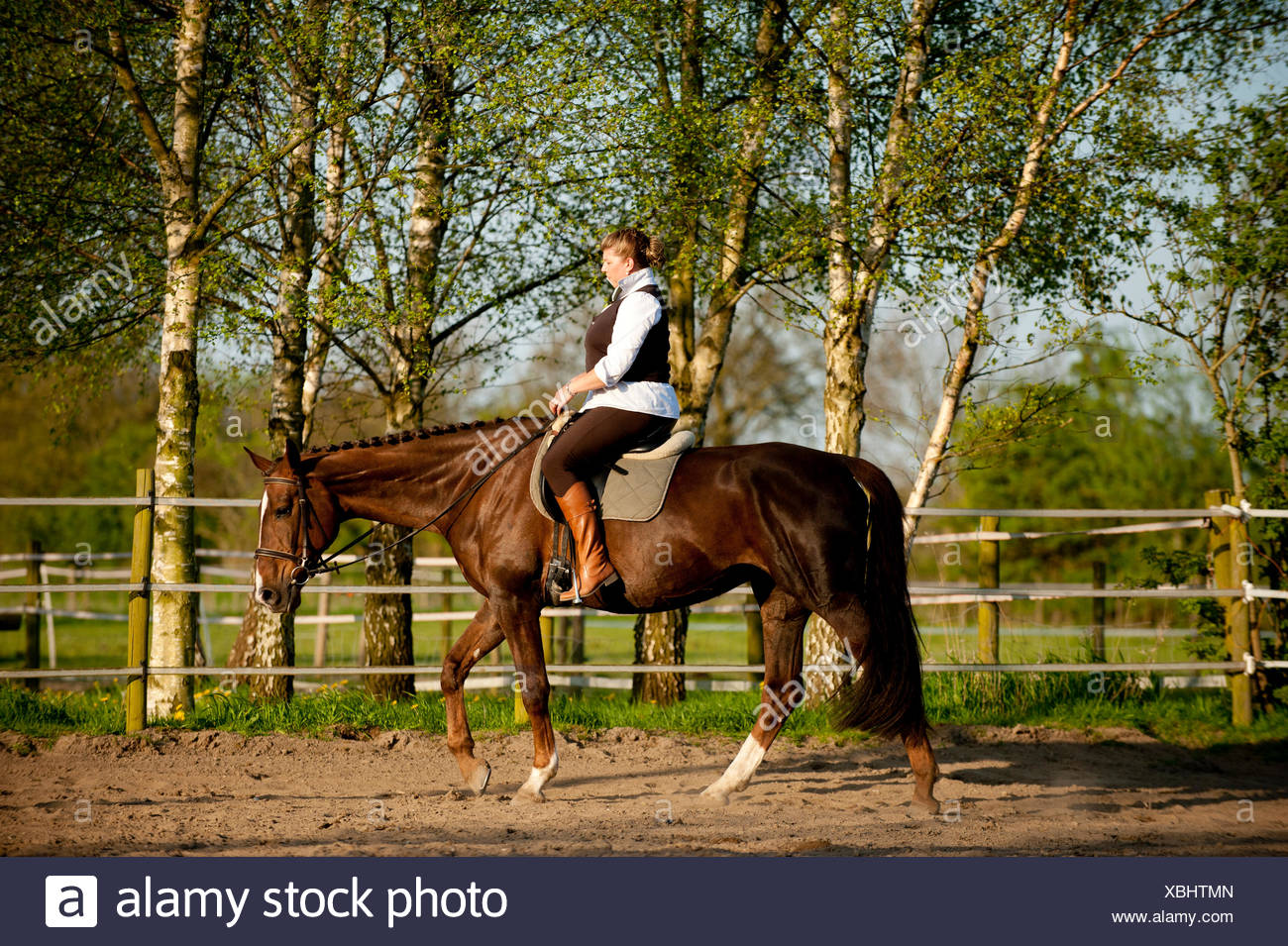 Walking Gait High Resolution Stock Photography and Images - Alamy