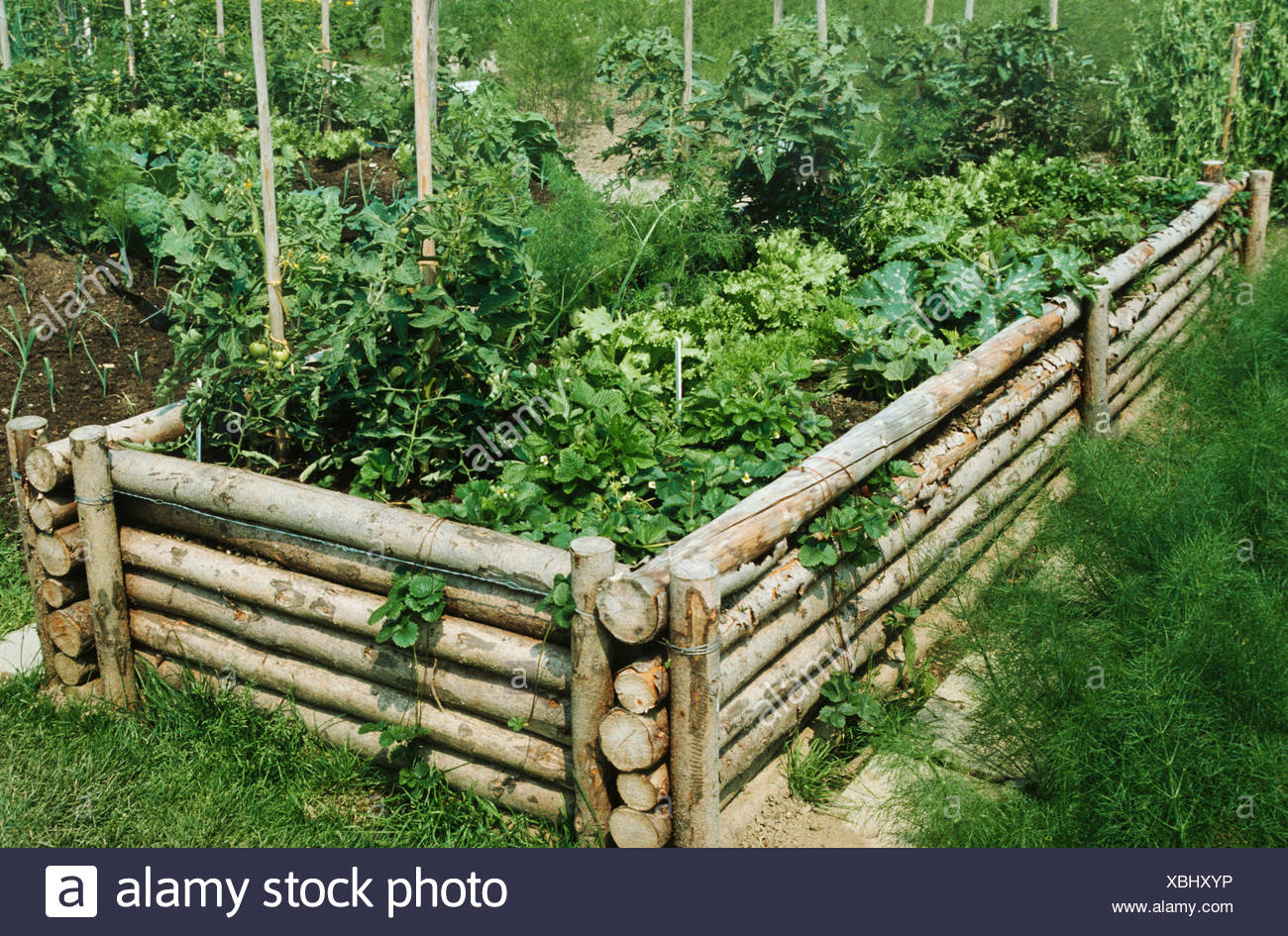Raised Plots High Resolution Stock Photography and Images - Alamy