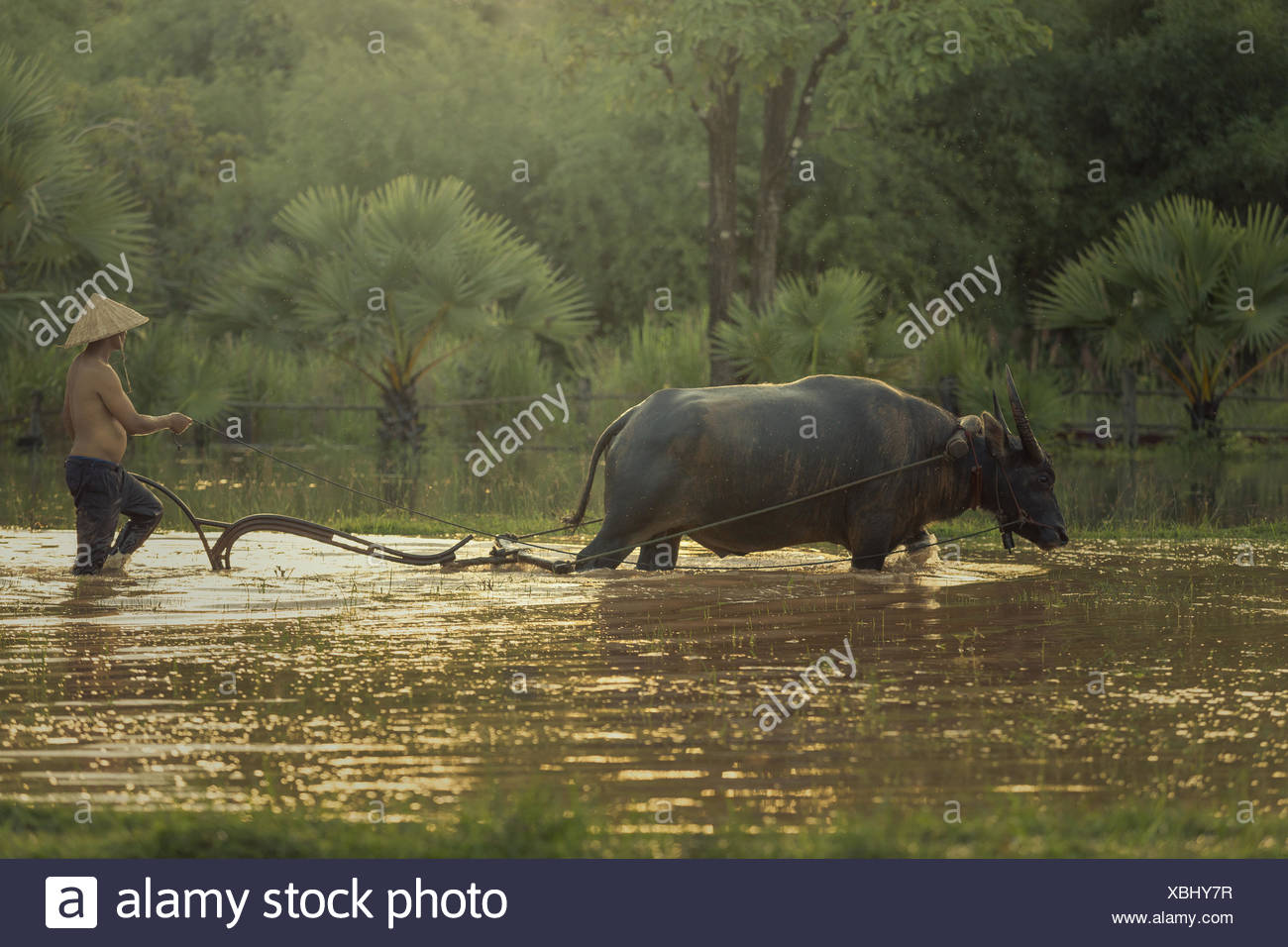 Man And Plough High Resolution Stock Photography and Images - Alamy