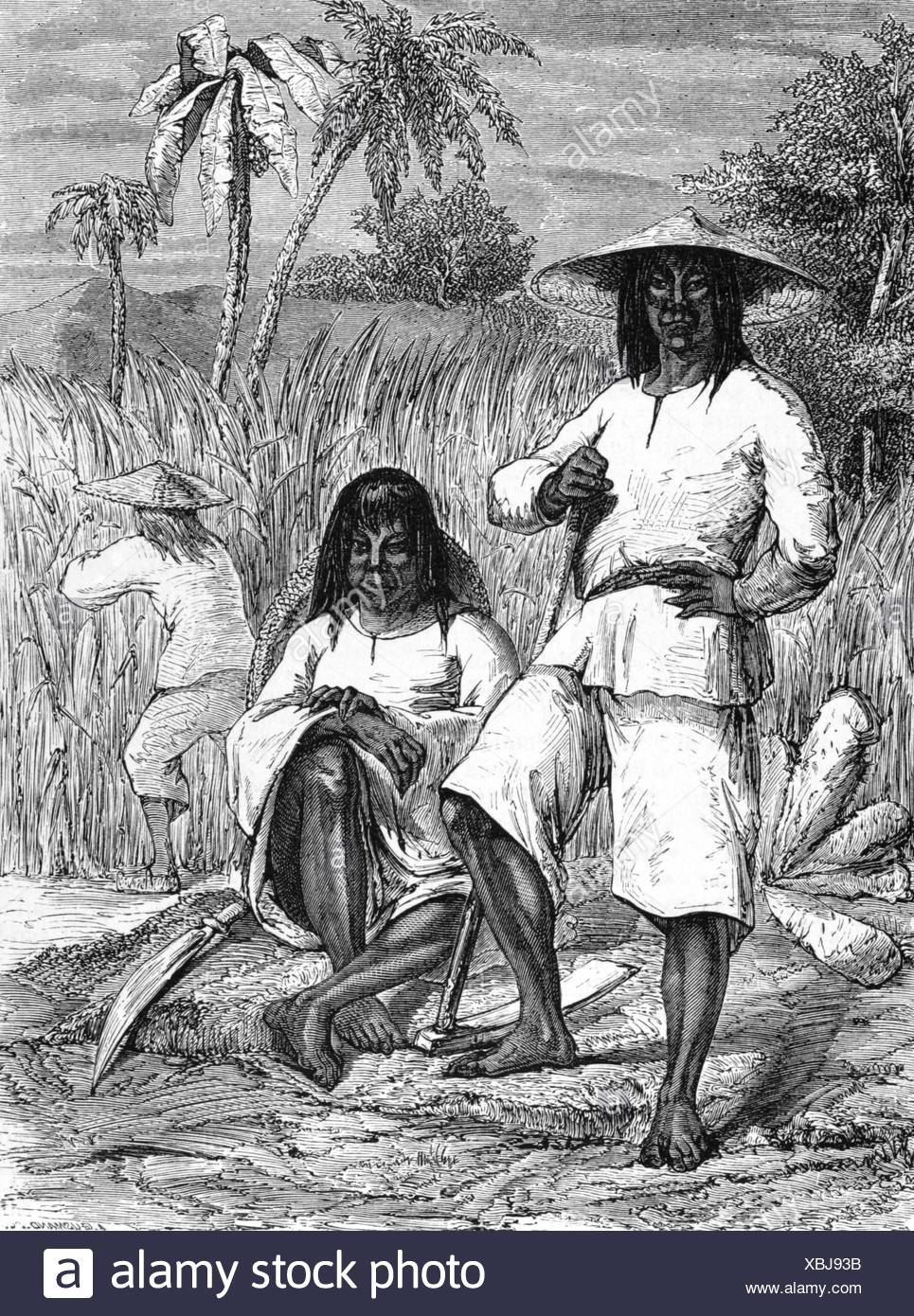 Chinese Coolies High Resolution Stock Photography and Images - Alamy