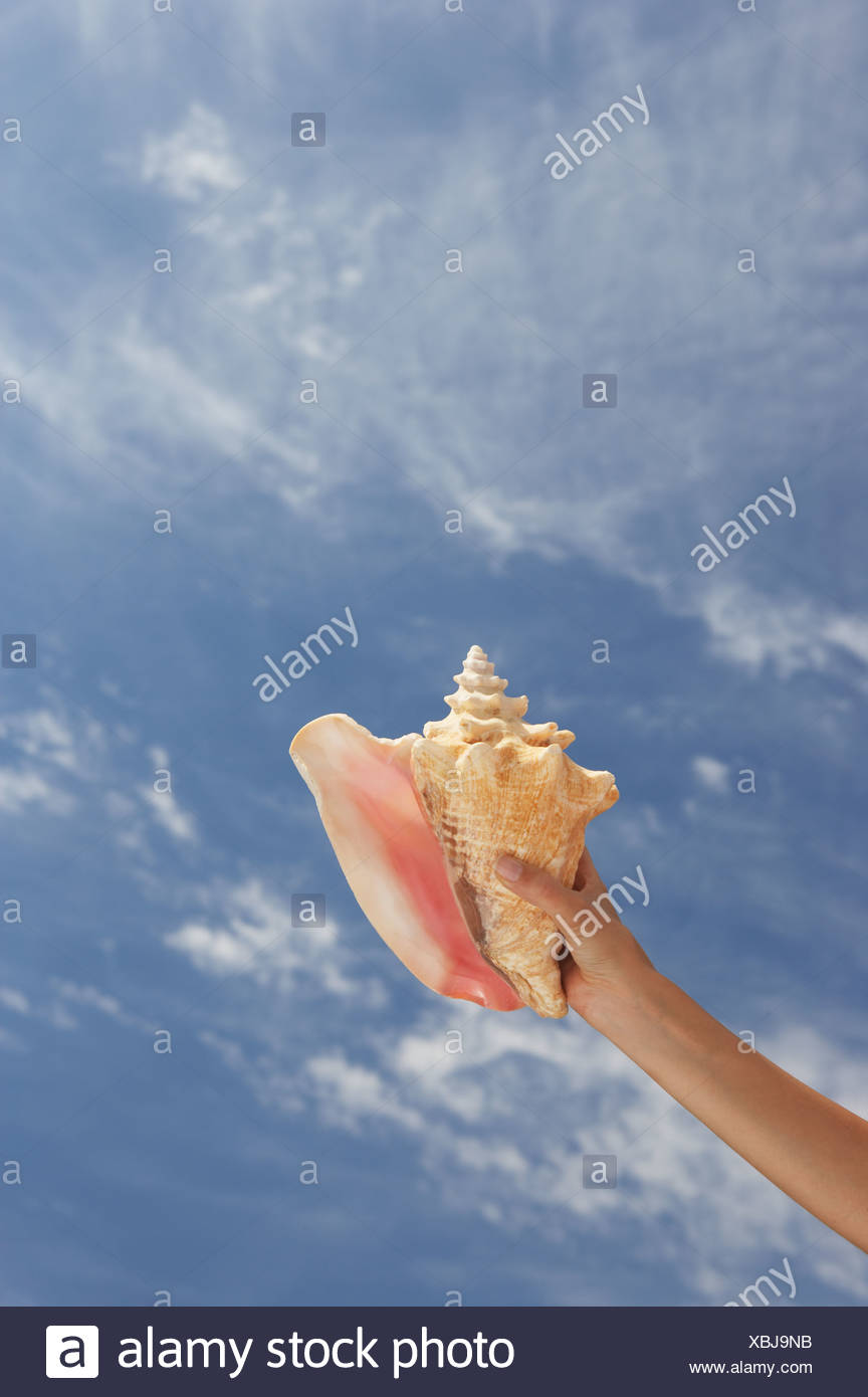 Conch Shell Hands Stock Photos & Conch Shell Hands Stock Images - Alamy