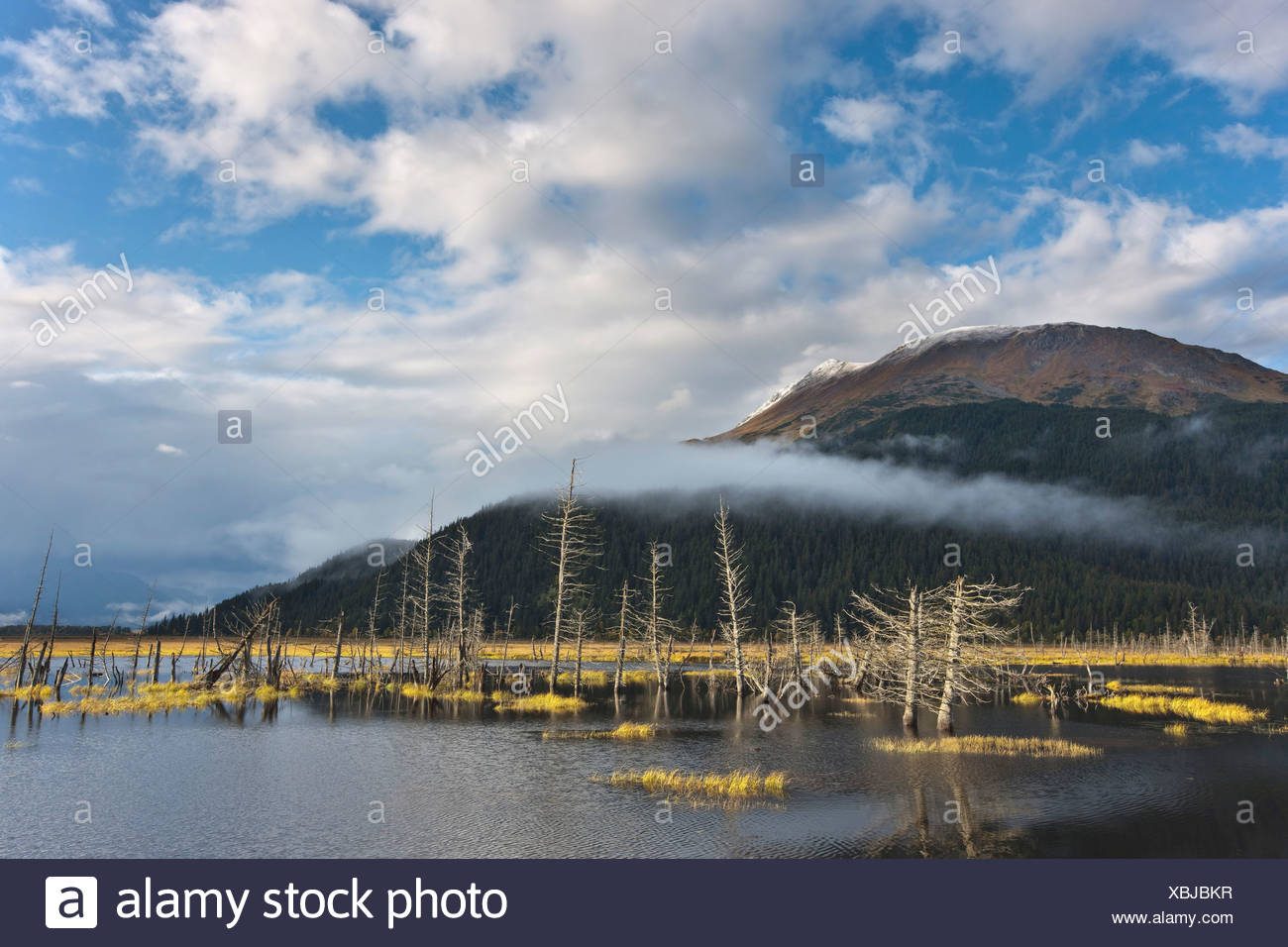 Alaska Earthquake 1964 High Resolution Stock Photography and Images - Alamy