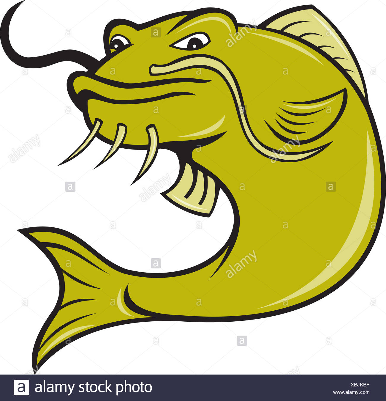 Angry Catfish Bike Shop