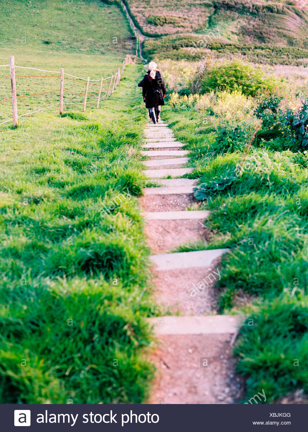 Grass Steps Stock Photos & Grass Steps Stock Images - Alamy