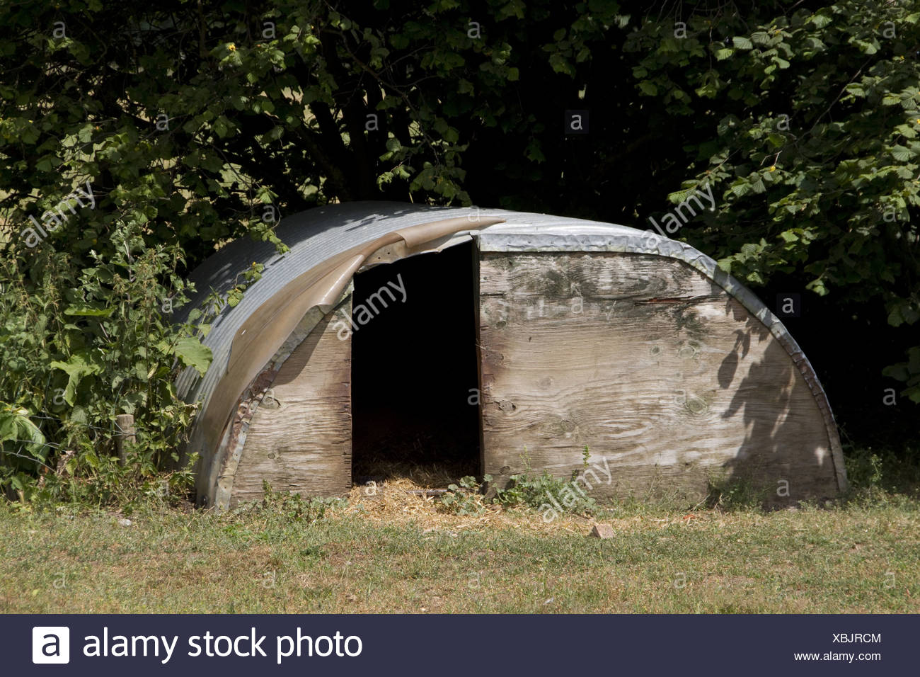 Pig Arc High Resolution Stock Photography and Images - Alamy