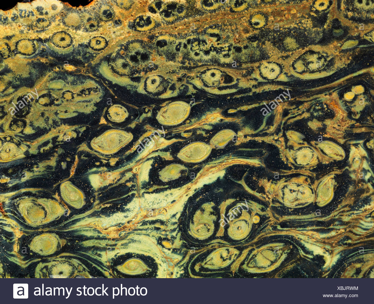 Stromatolite Fossil Algae High Resolution Stock Photography and Images ...