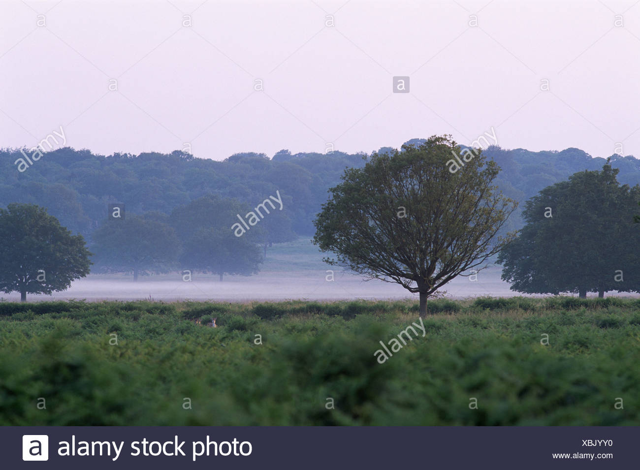Marshland Shaft High Resolution Stock Photography and Images - Alamy