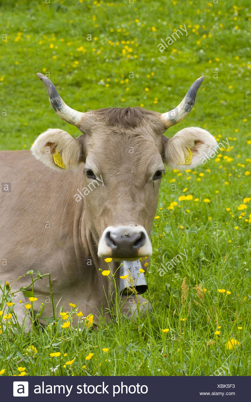 Productive Land Stock Photos & Productive Land Stock Images - Alamy
