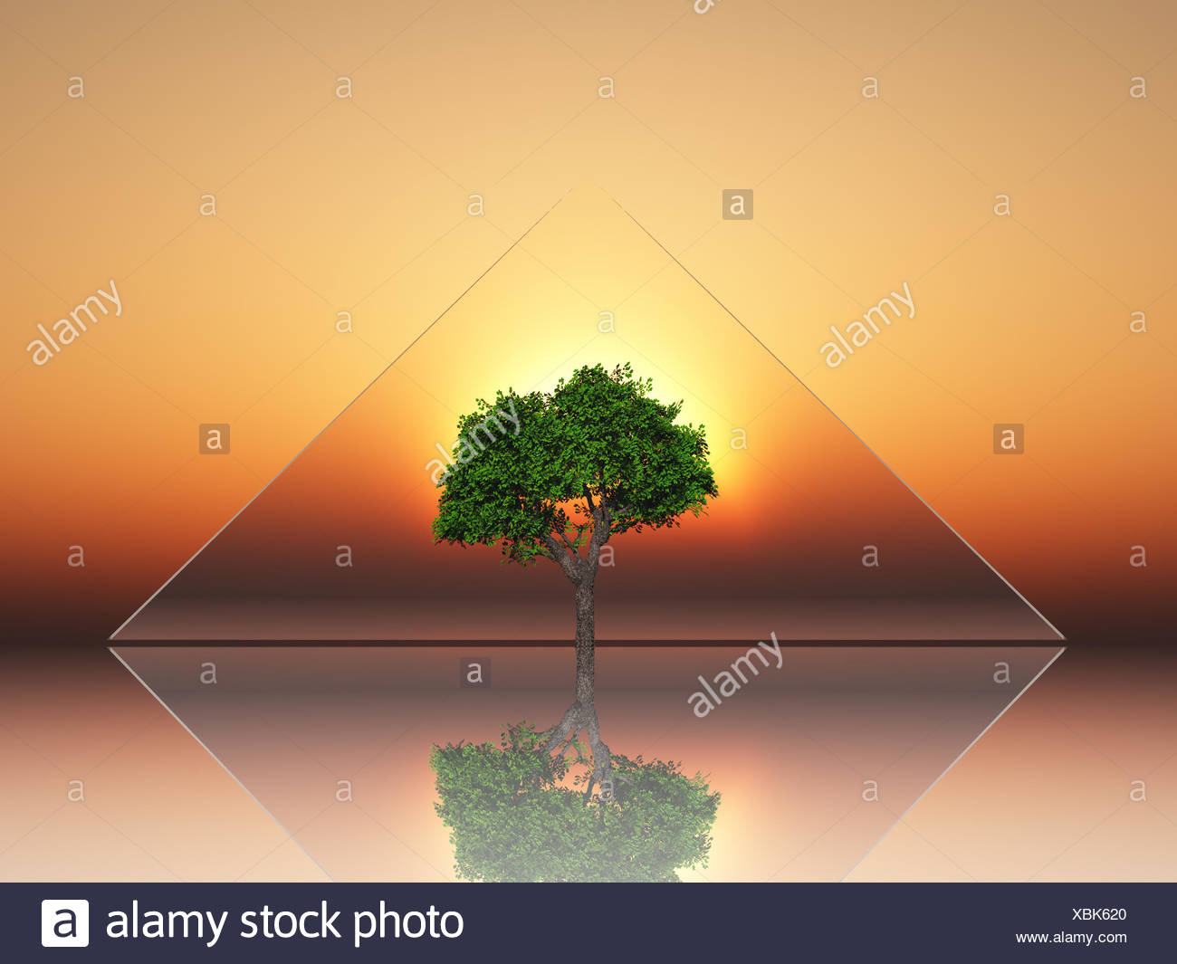Triangular Shaped Tree Stock Photos & Triangular Shaped Tree Stock ...