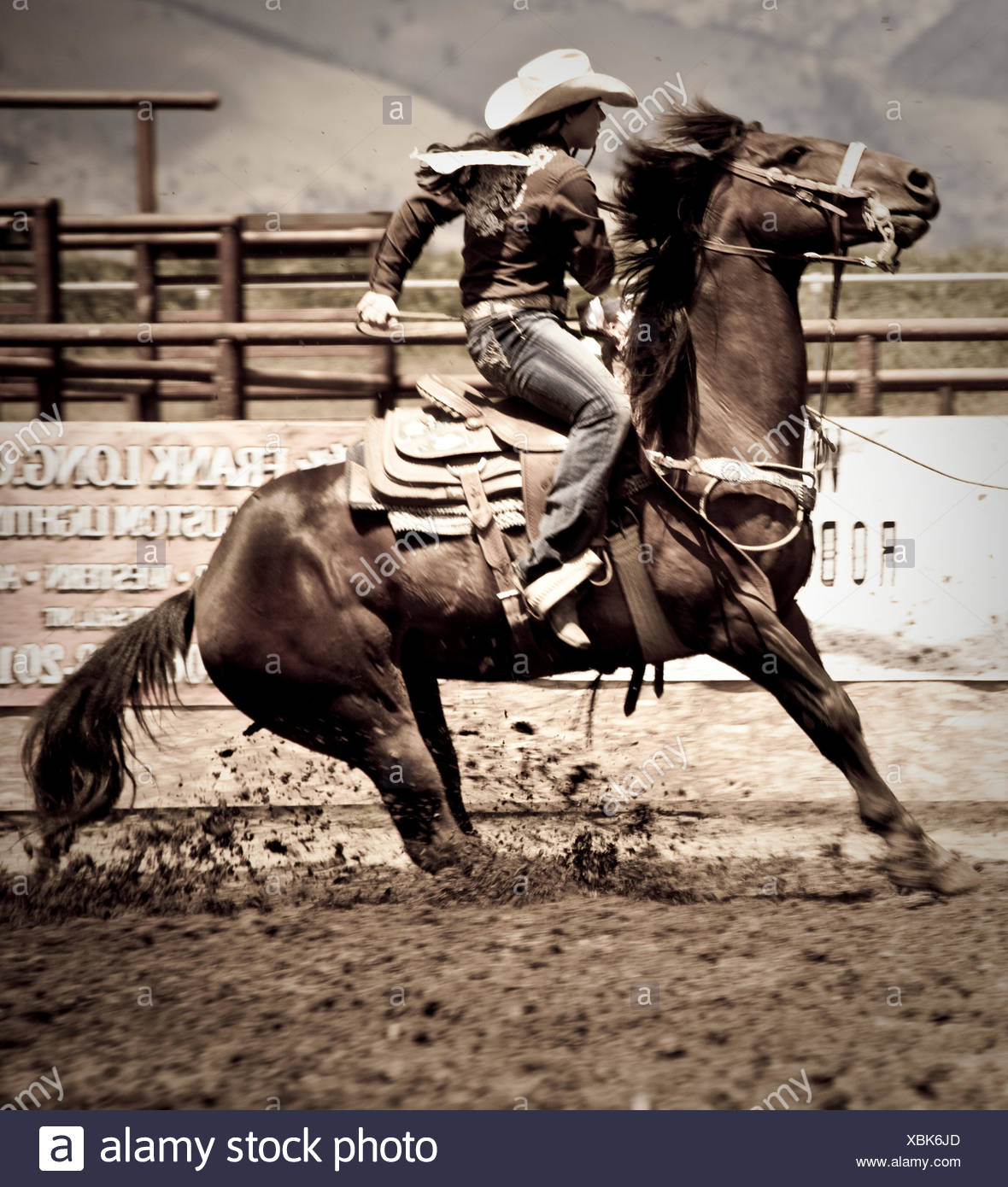 Yanks Stock Photos & Yanks Stock Images - Alamy