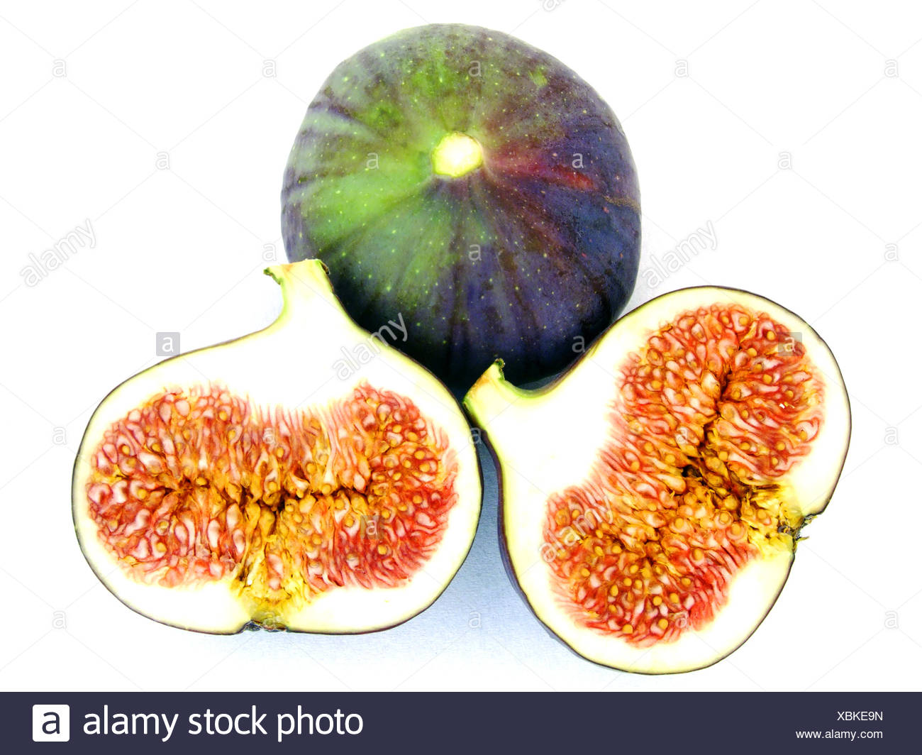 Feige High Resolution Stock Photography and Images - Alamy