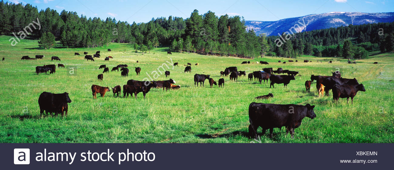Judith Mountains High Resolution Stock Photography and Images - Alamy