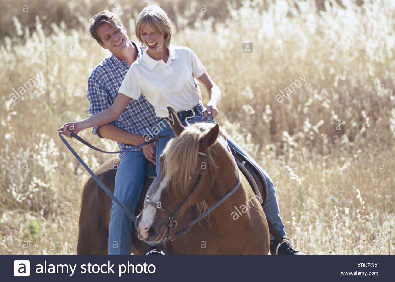 Best Mate Horse High Resolution Stock Photography and Images - Alamy