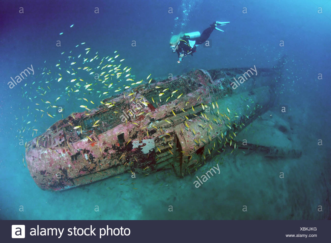 Airplane Diving High Resolution Stock Photography and Images - Alamy