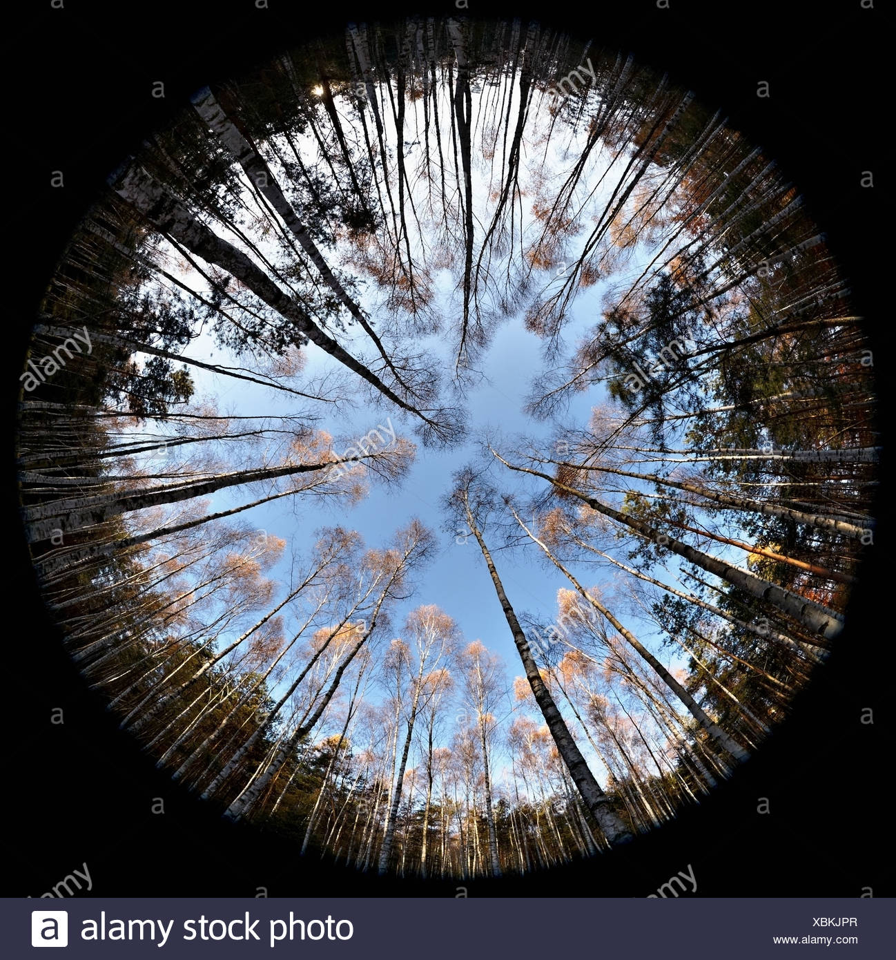 View Below High Resolution Stock Photography and Images - Alamy