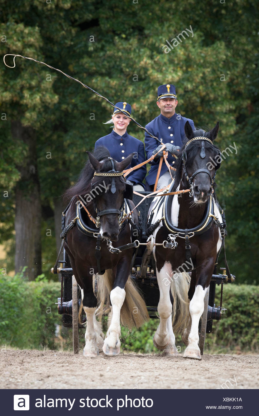 Drawing A High Resolution Stock Photography and Images - Alamy