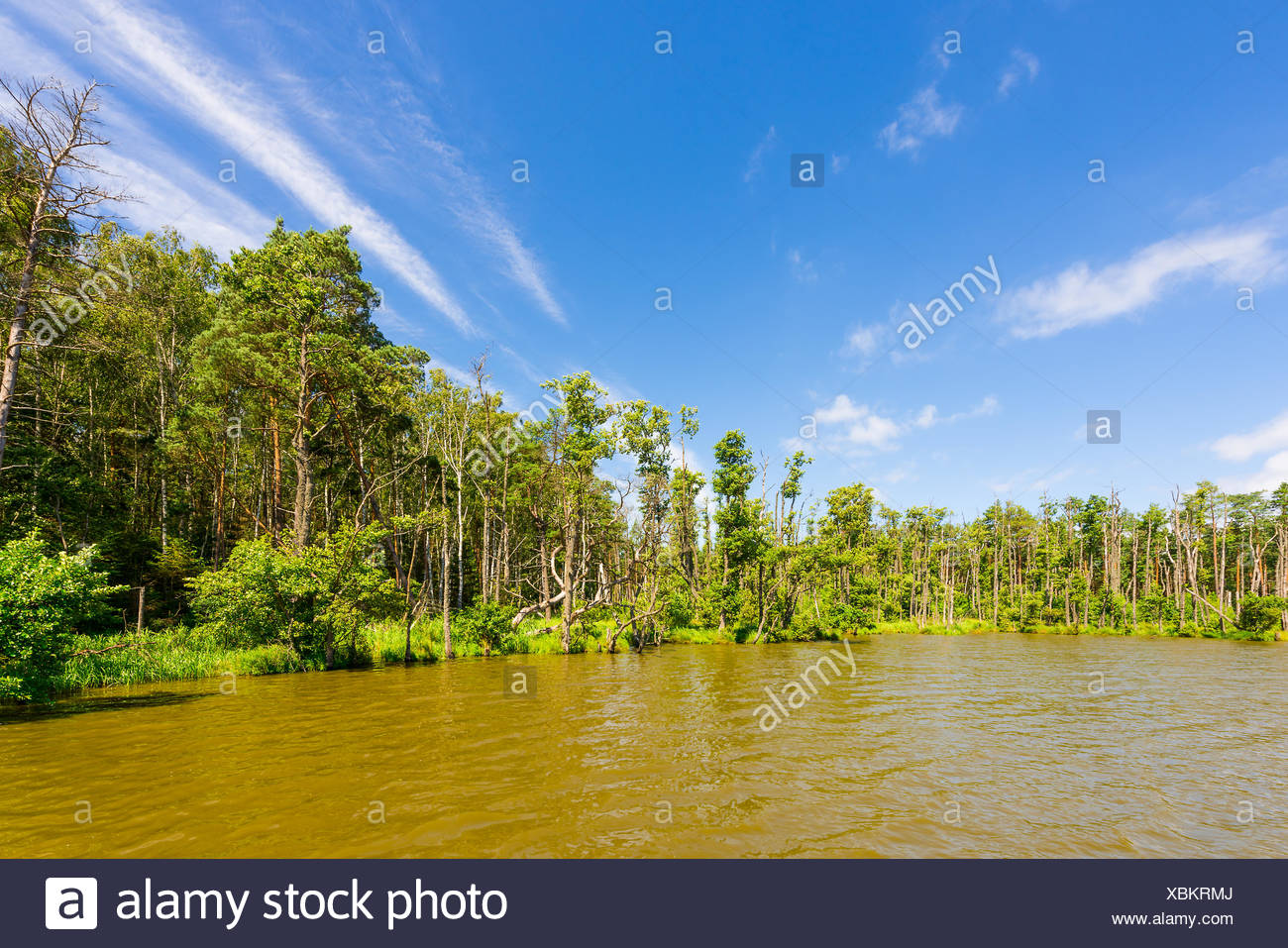Slowinski High Resolution Stock Photography and Images - Alamy