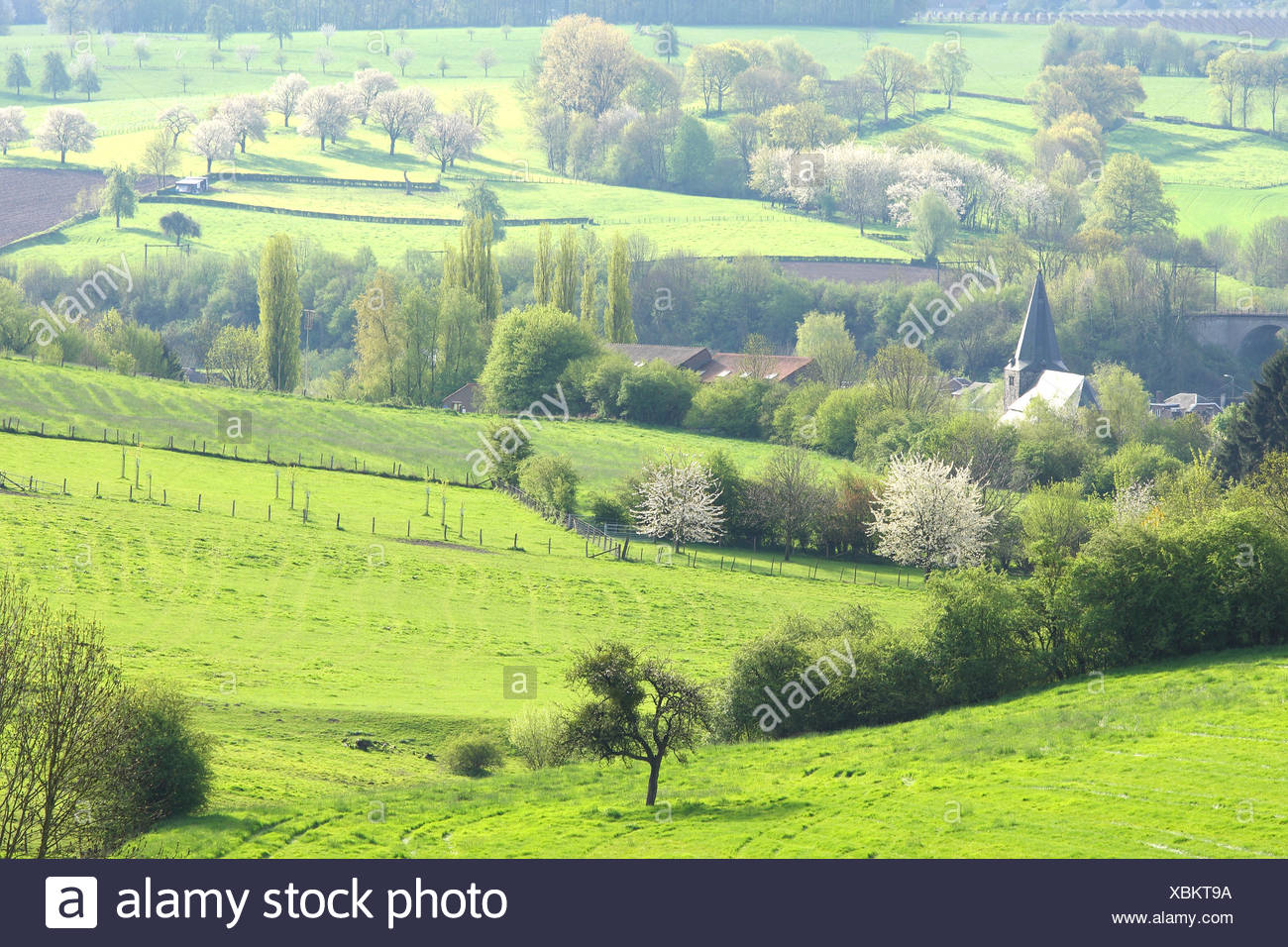 Bocage Hedges And Trees High Resolution Stock Photography and Images ...