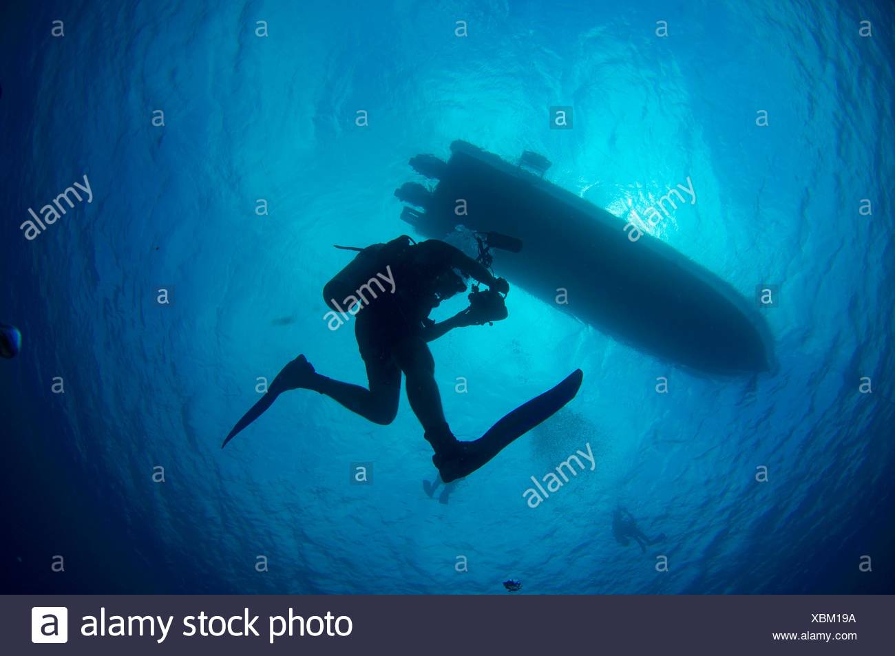 Vector Outlines High Resolution Stock Photography and Images - Alamy