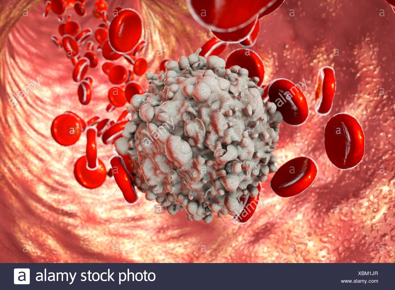 Red Blood Corpuscle High Resolution Stock Photography and Images - Alamy