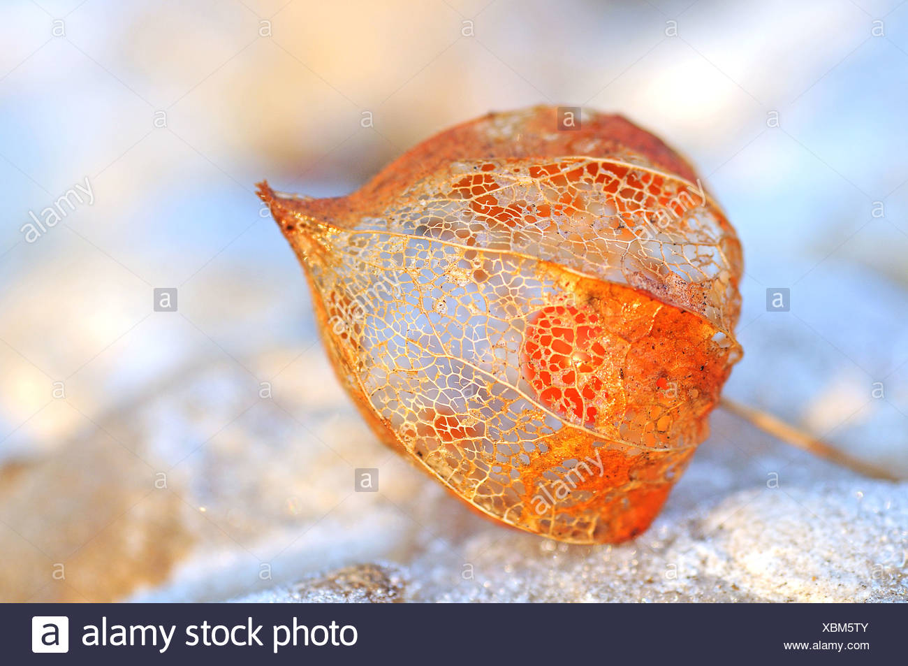 Inca Structures High Resolution Stock Photography and Images - Alamy