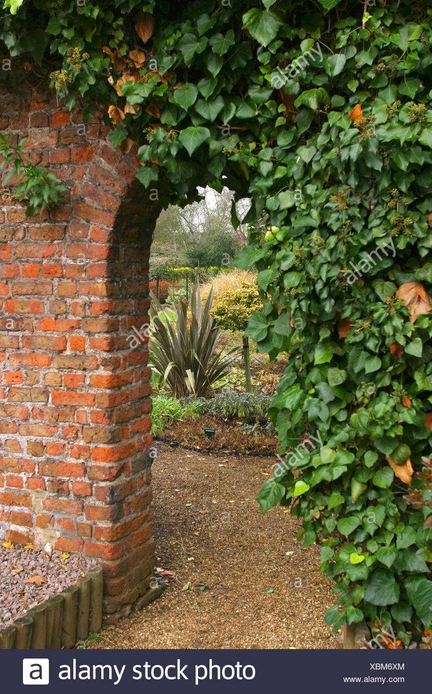 Ivy Covered Garden Gate High Resolution Stock Photography and Images ...