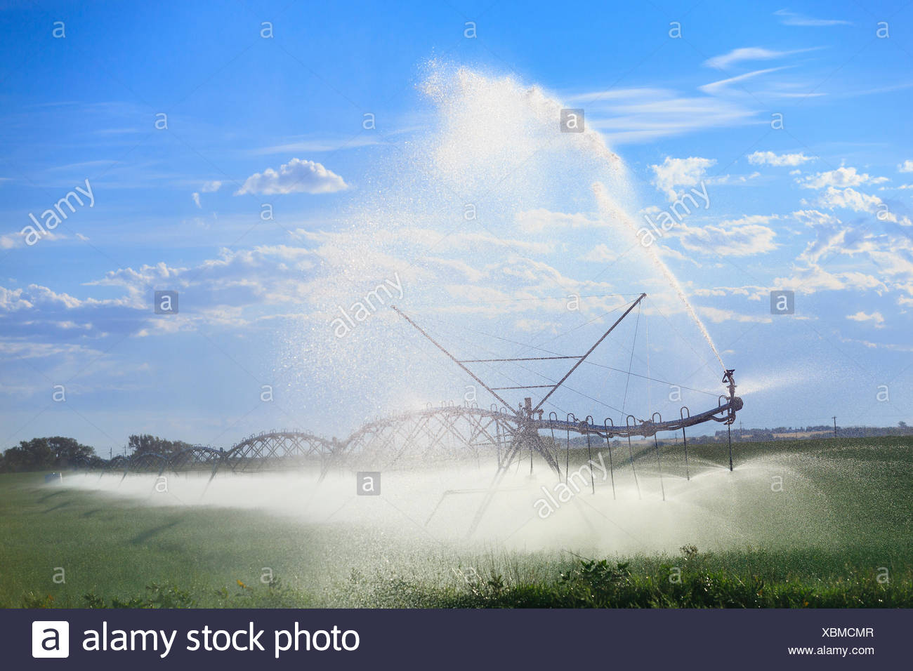Water Irrigation High Resolution Stock Photography and Images - Alamy