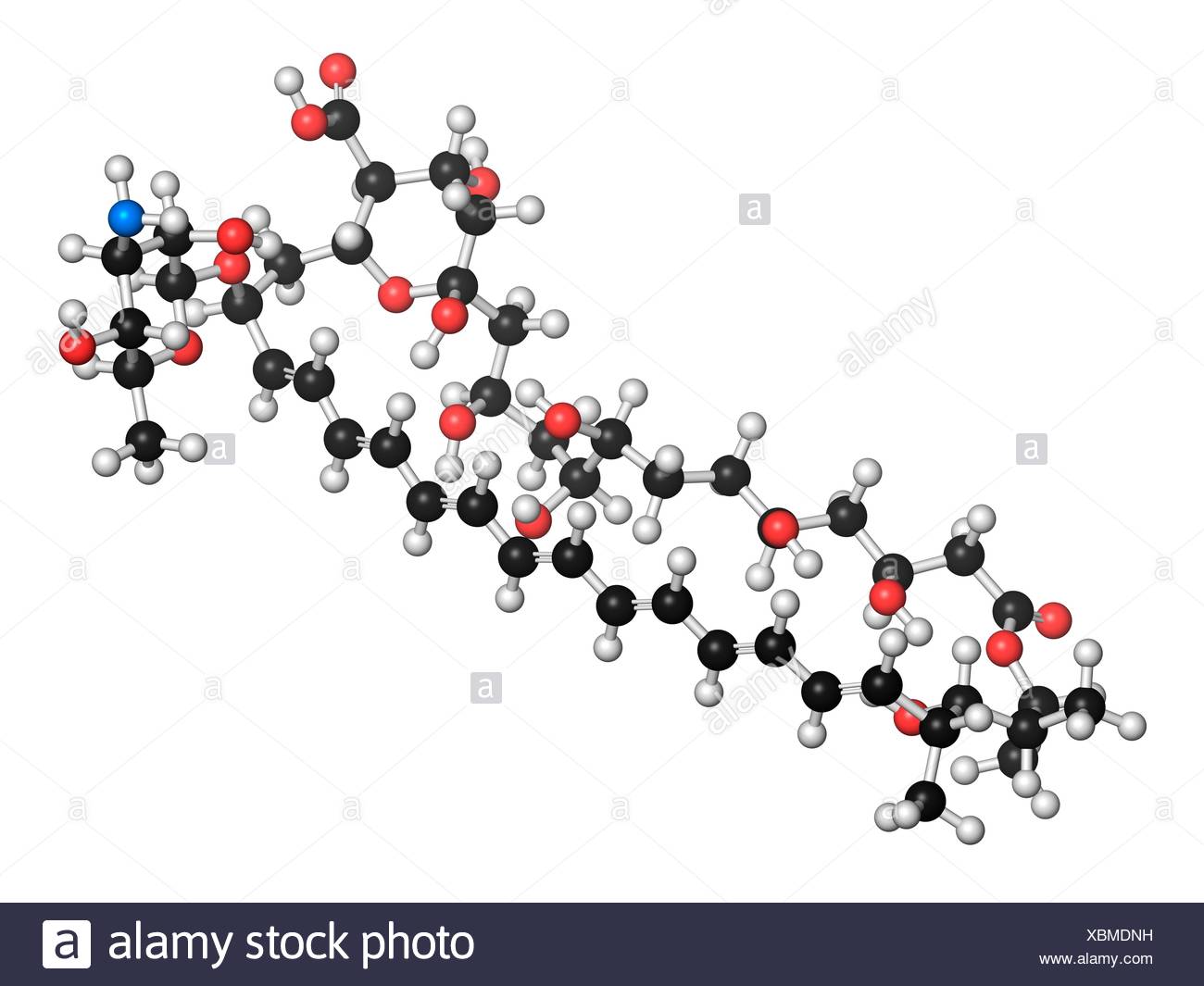 Amphotericin B High Resolution Stock Photography and Images - Alamy