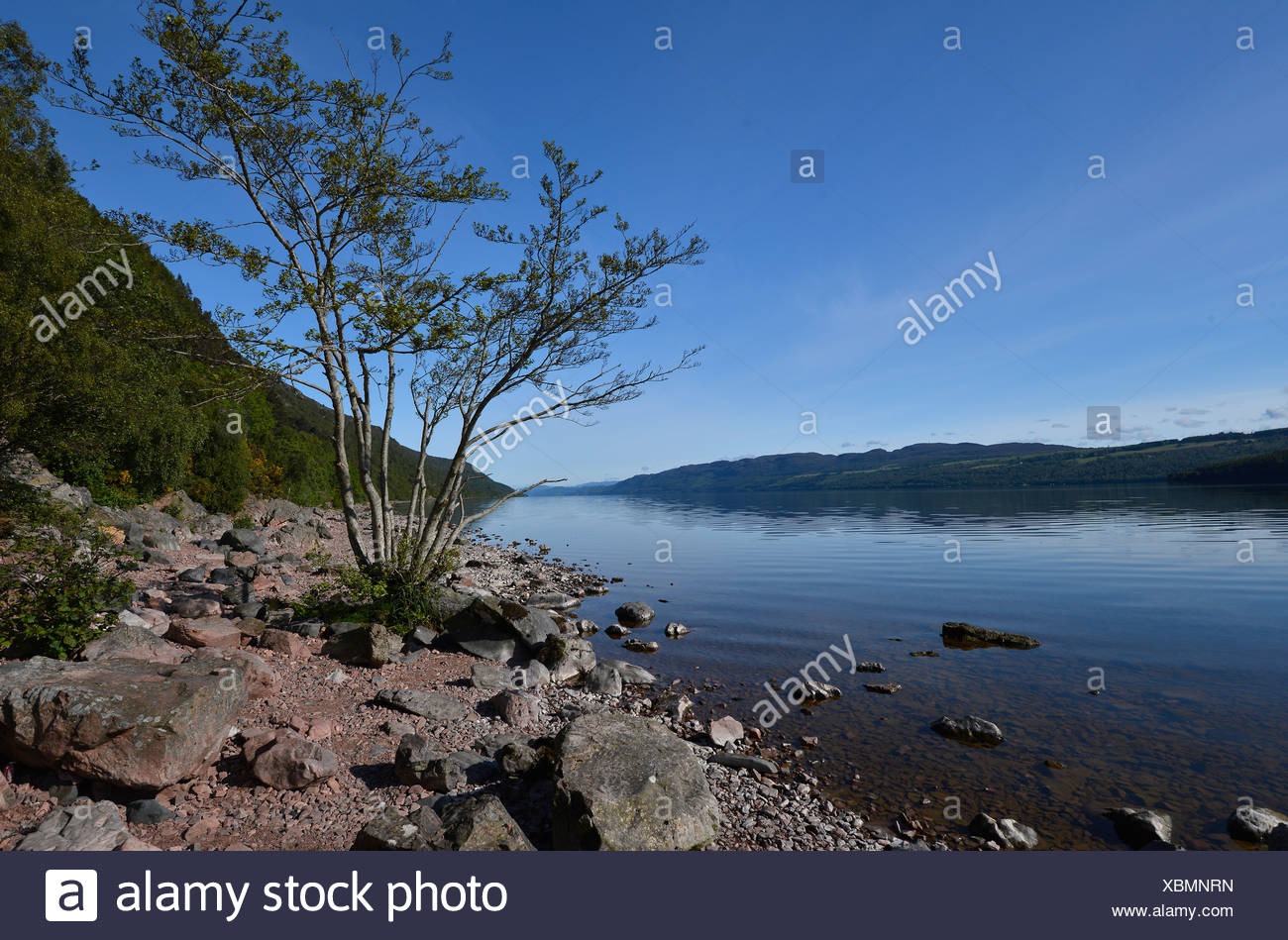 Loch Ness Shores High Resolution Stock Photography and Images - Alamy