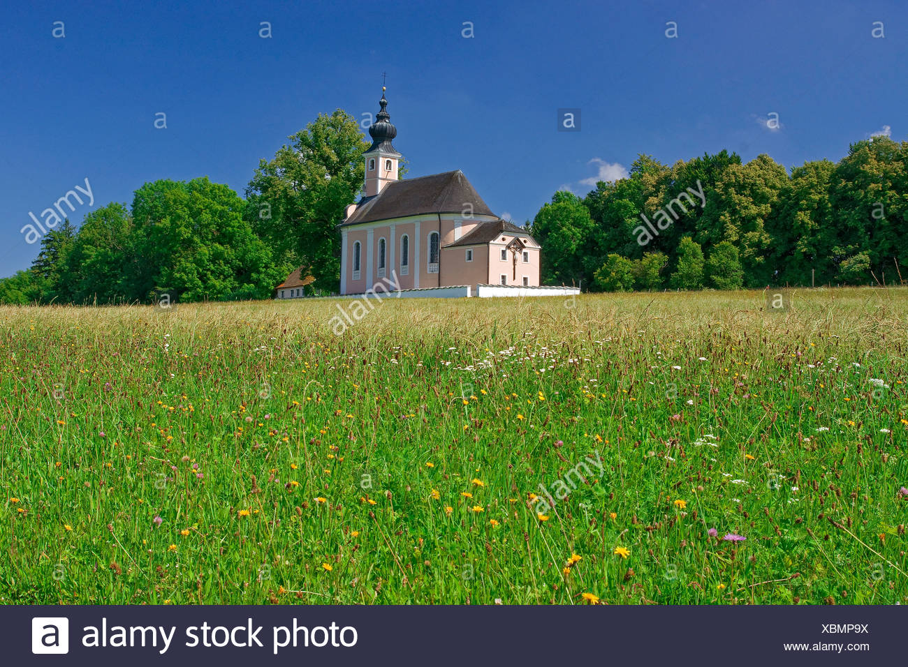Maria Muhlberg High Resolution Stock Photography and Images - Alamy