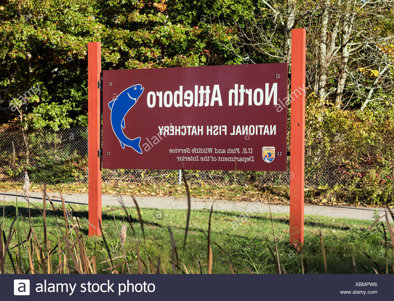 National Fish Hatchery High Resolution Stock Photography and Images - Alamy