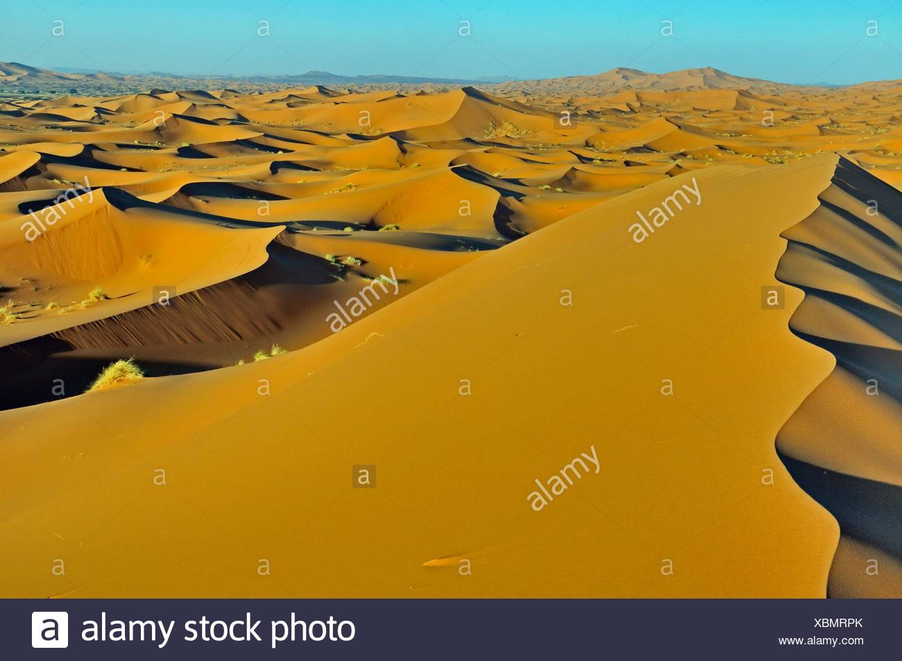 Maghreb Country Stock Photos & Maghreb Country Stock Images - Alamy