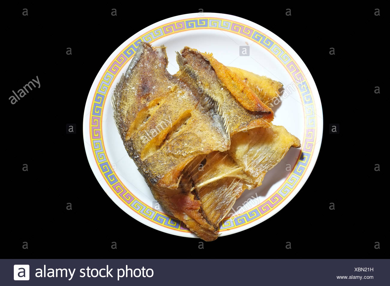 Little Snake Food High Resolution Stock Photography and Images - Alamy