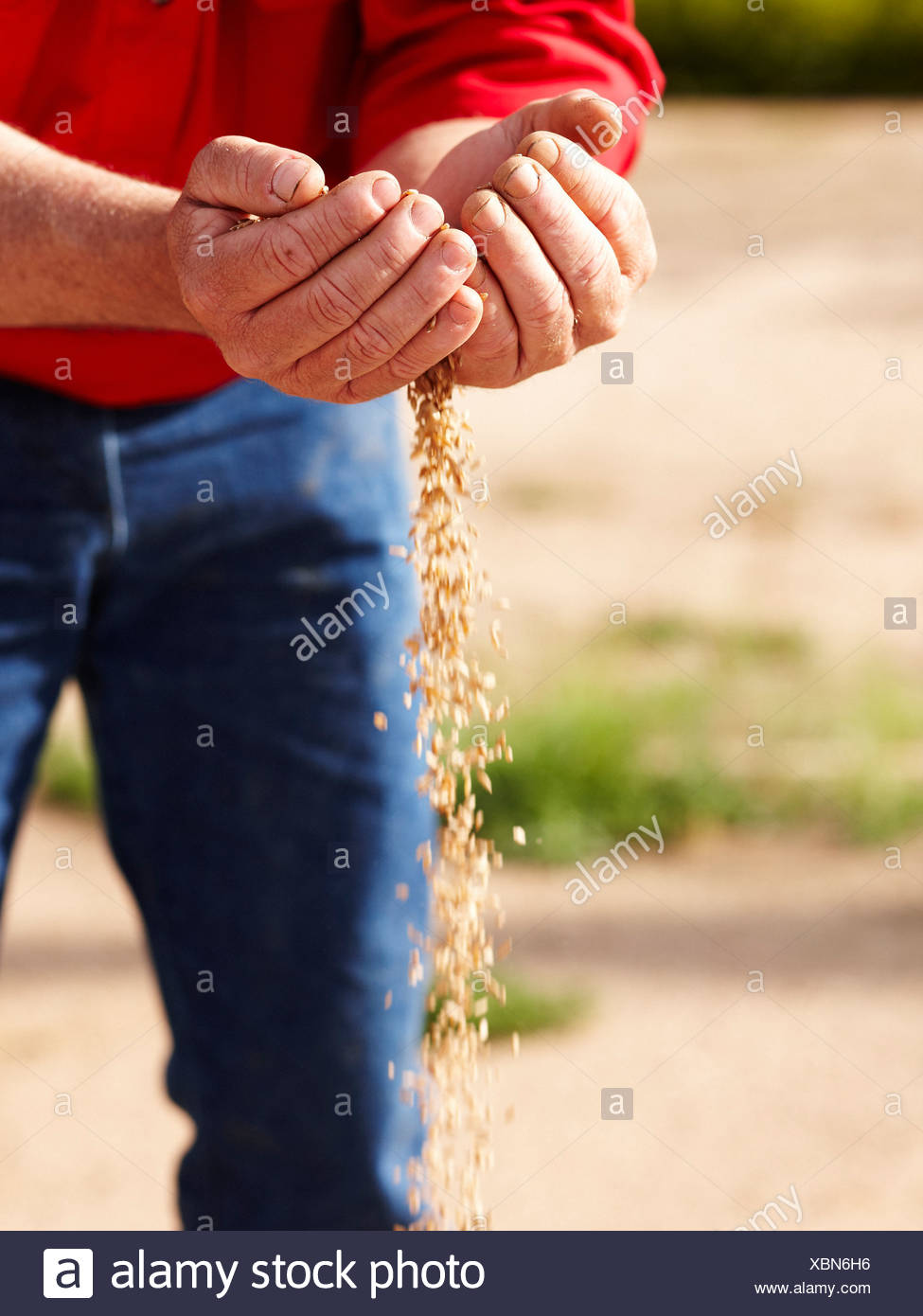 Falling Seed High Resolution Stock Photography and Images - Alamy