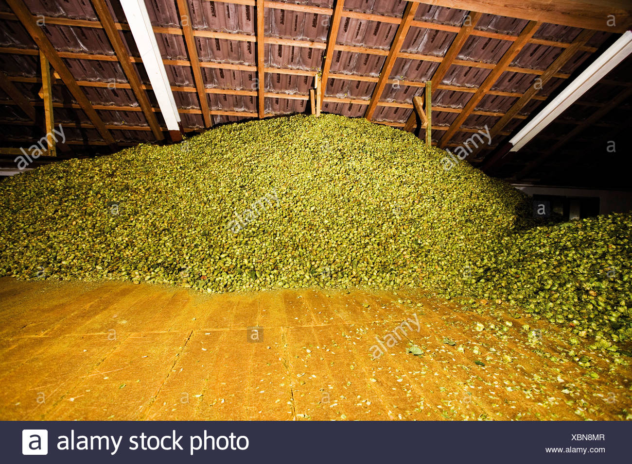 Hop Processing High Resolution Stock Photography and Images - Alamy
