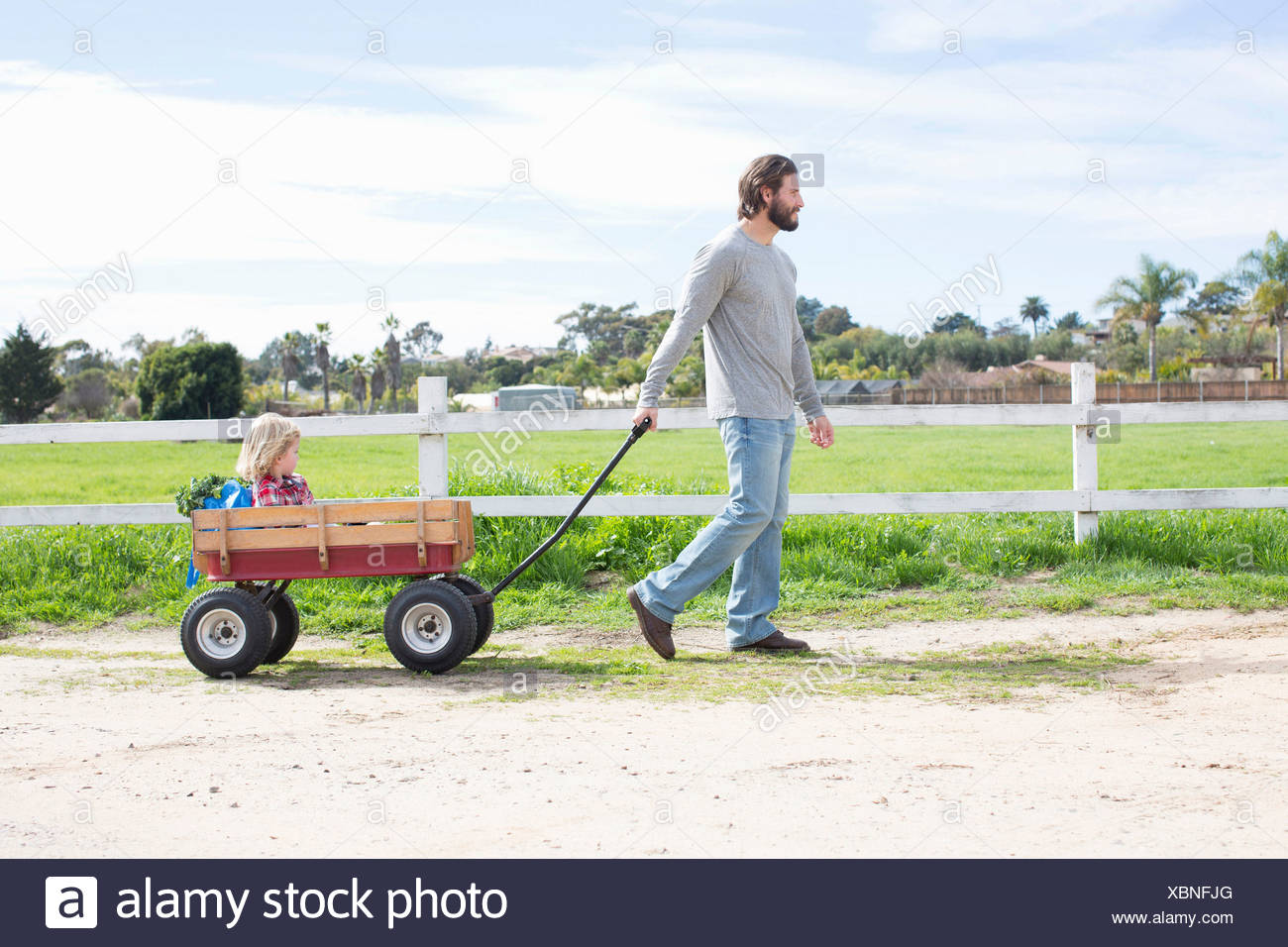 Child Wagon Pulling High Resolution Stock Photography and Images - Alamy